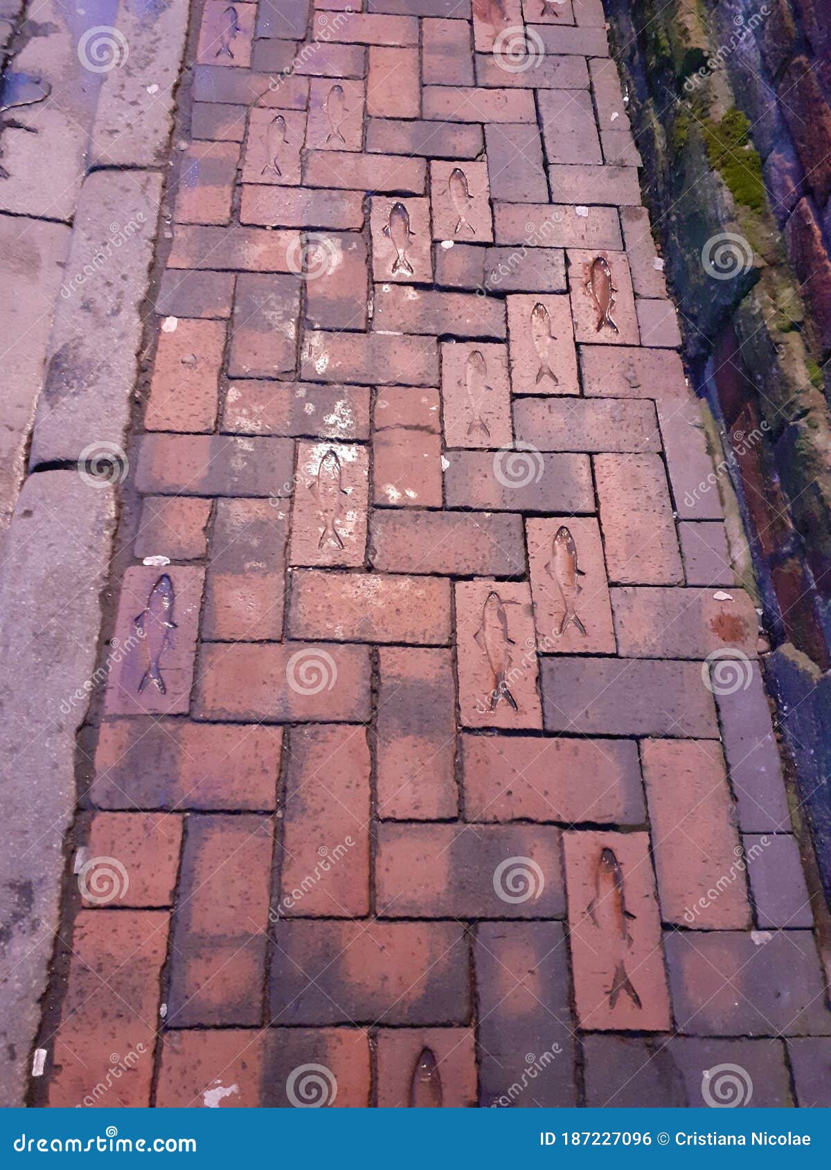 Pavement With Fish Scale And Diagonally Pattern Royalty-Free Stock ...