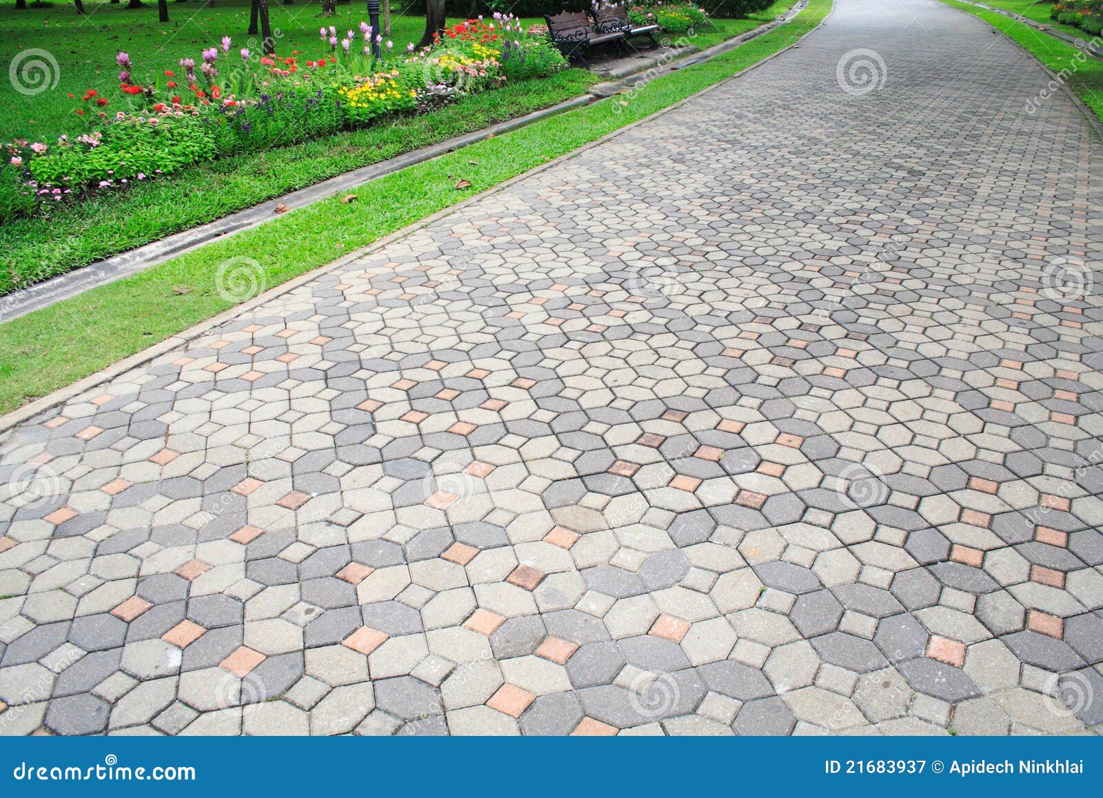 The pavement in a garden stock image. Image of leaf, footpath - 21683937