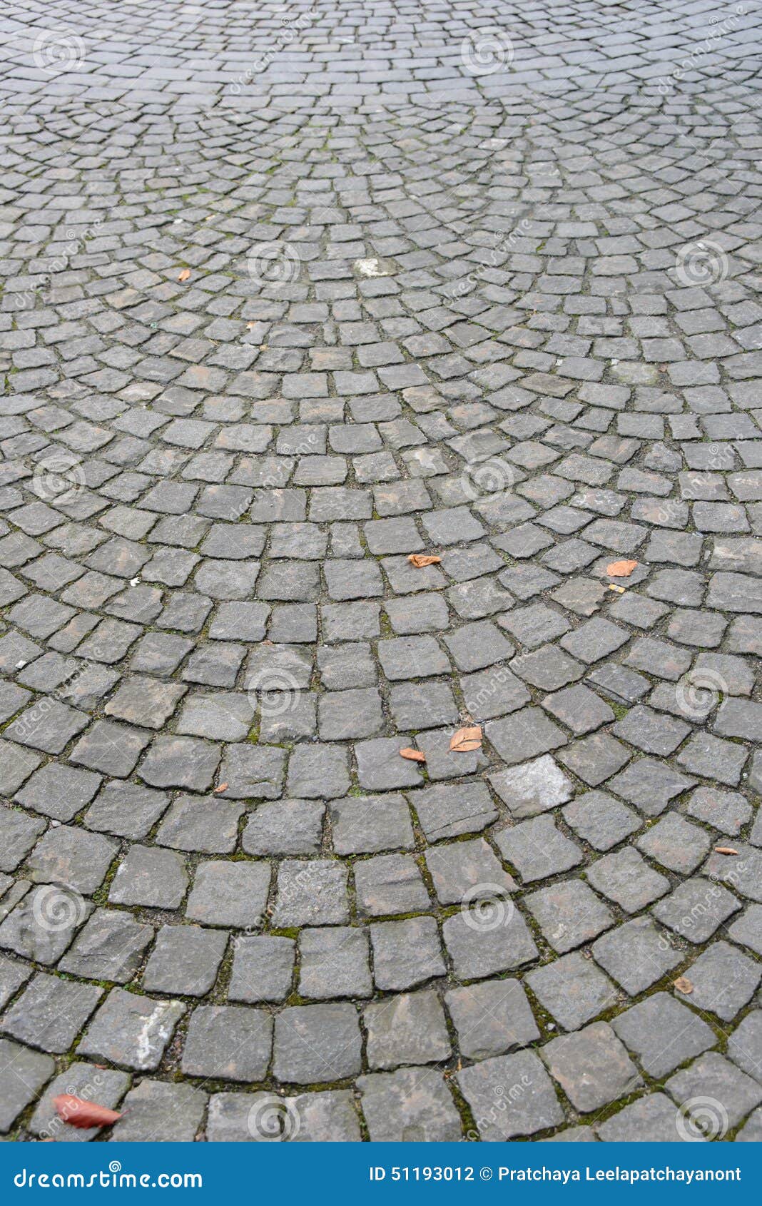 Pavement of Granite with Fish Scale Pattern Stock Photo - Image of ...