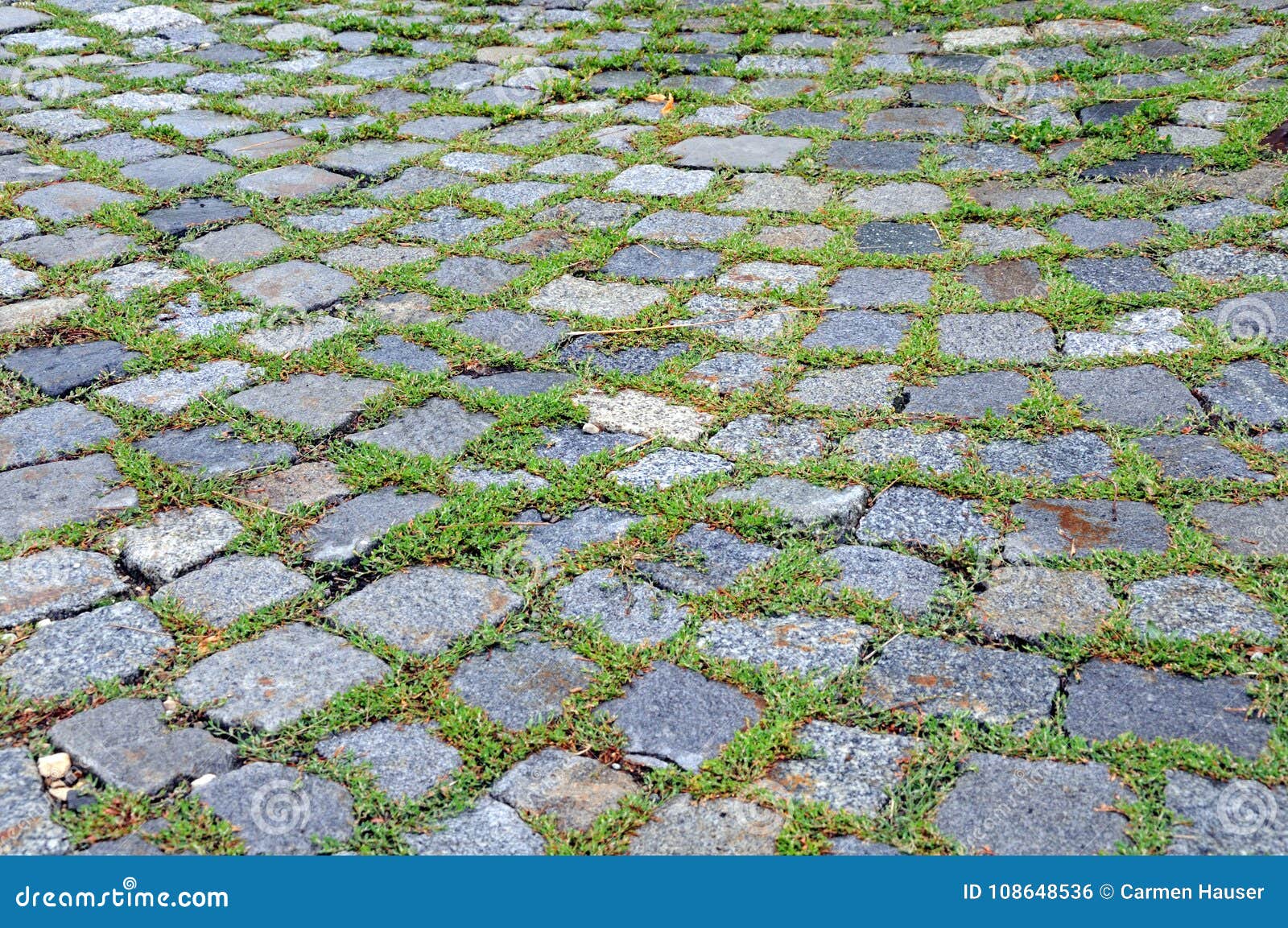 Grass Growing between Sett Stones Stock Photo - Image of street, road ...