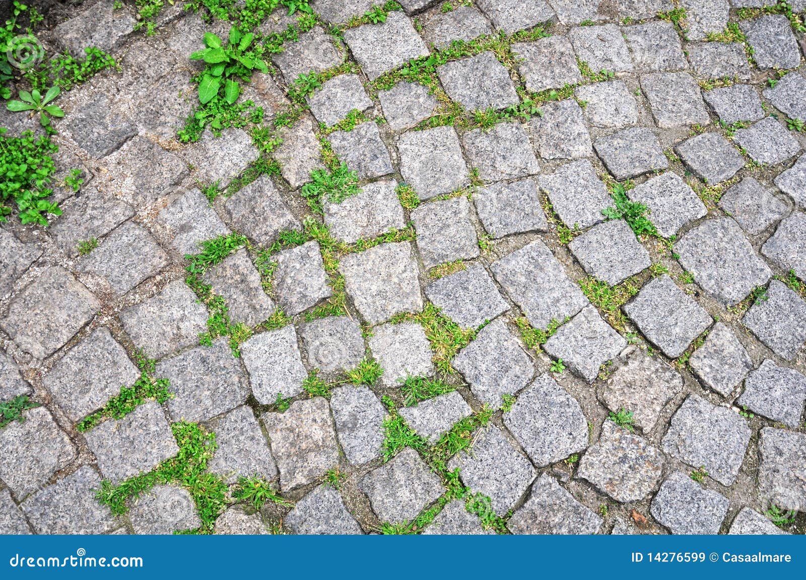 Pavement with grass stock image. Image of pavement, design - 14276599