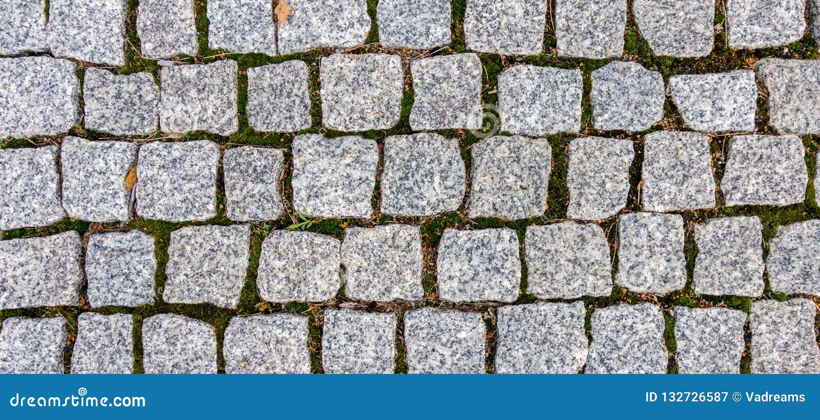 Pavement with Grass and Dry Leaves Shape As Irregular Pattern Texture ...