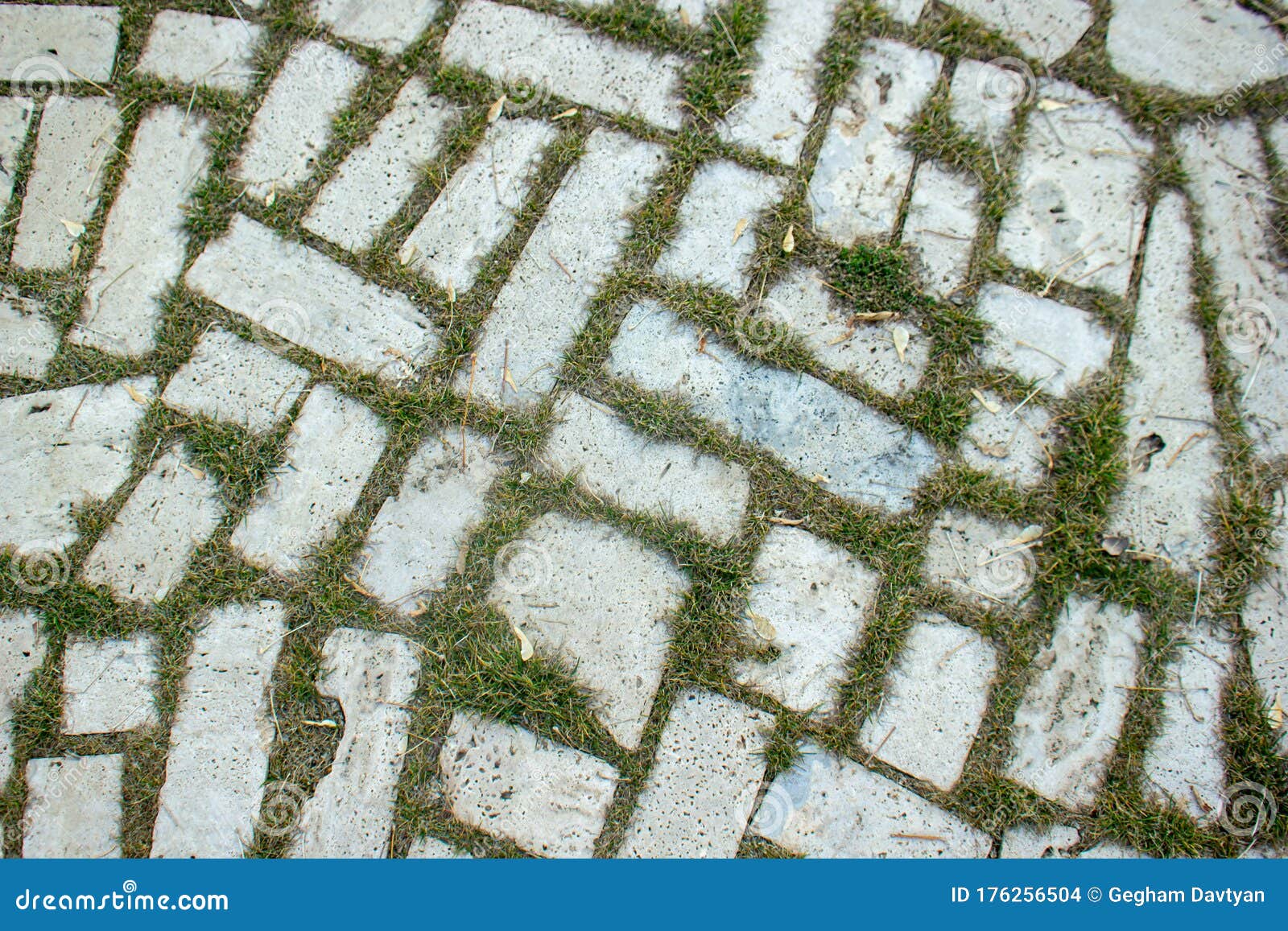 Pavement with Grass , Pavement Wallpaper Stock Photo - Image of ...