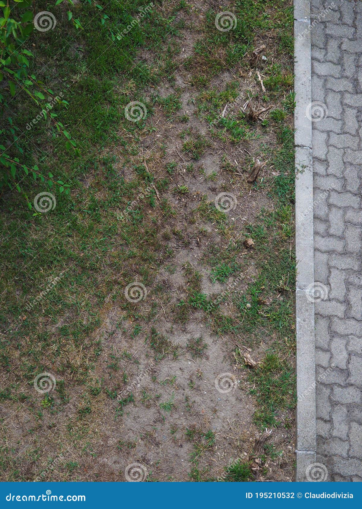 Pavement by the grass stock photo. Image of pavement - 195210532