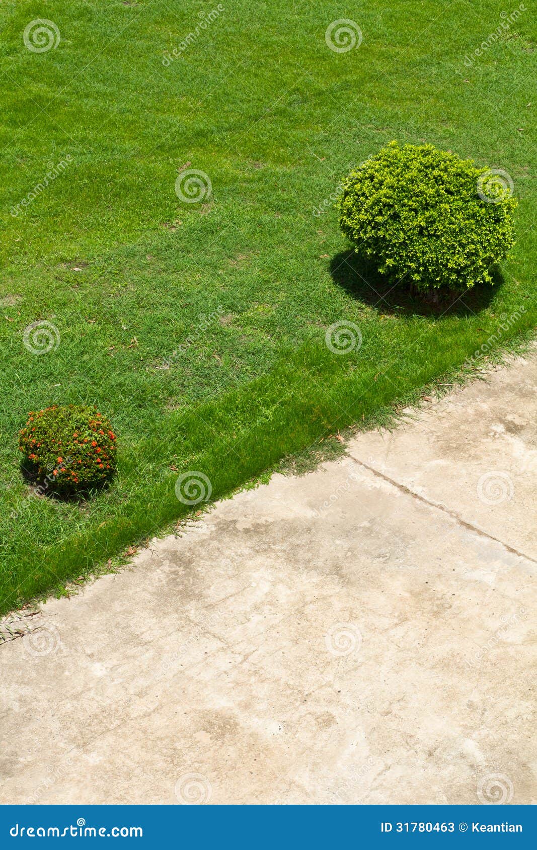 Pavement grass stock image. Image of cement, leaves, background - 31780463