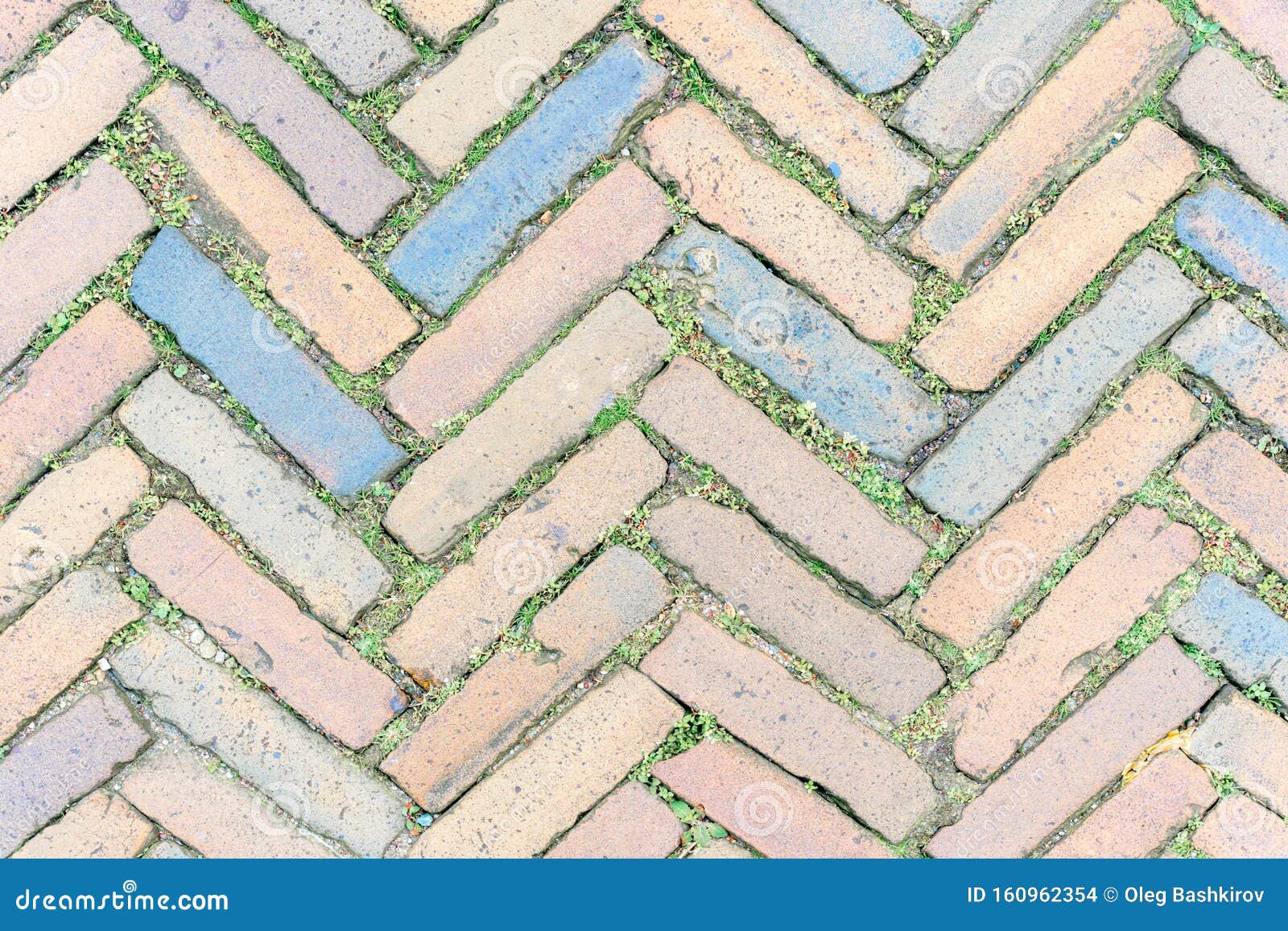 Colored Rectangular Frame Royalty-Free Stock Image | CartoonDealer.com ...