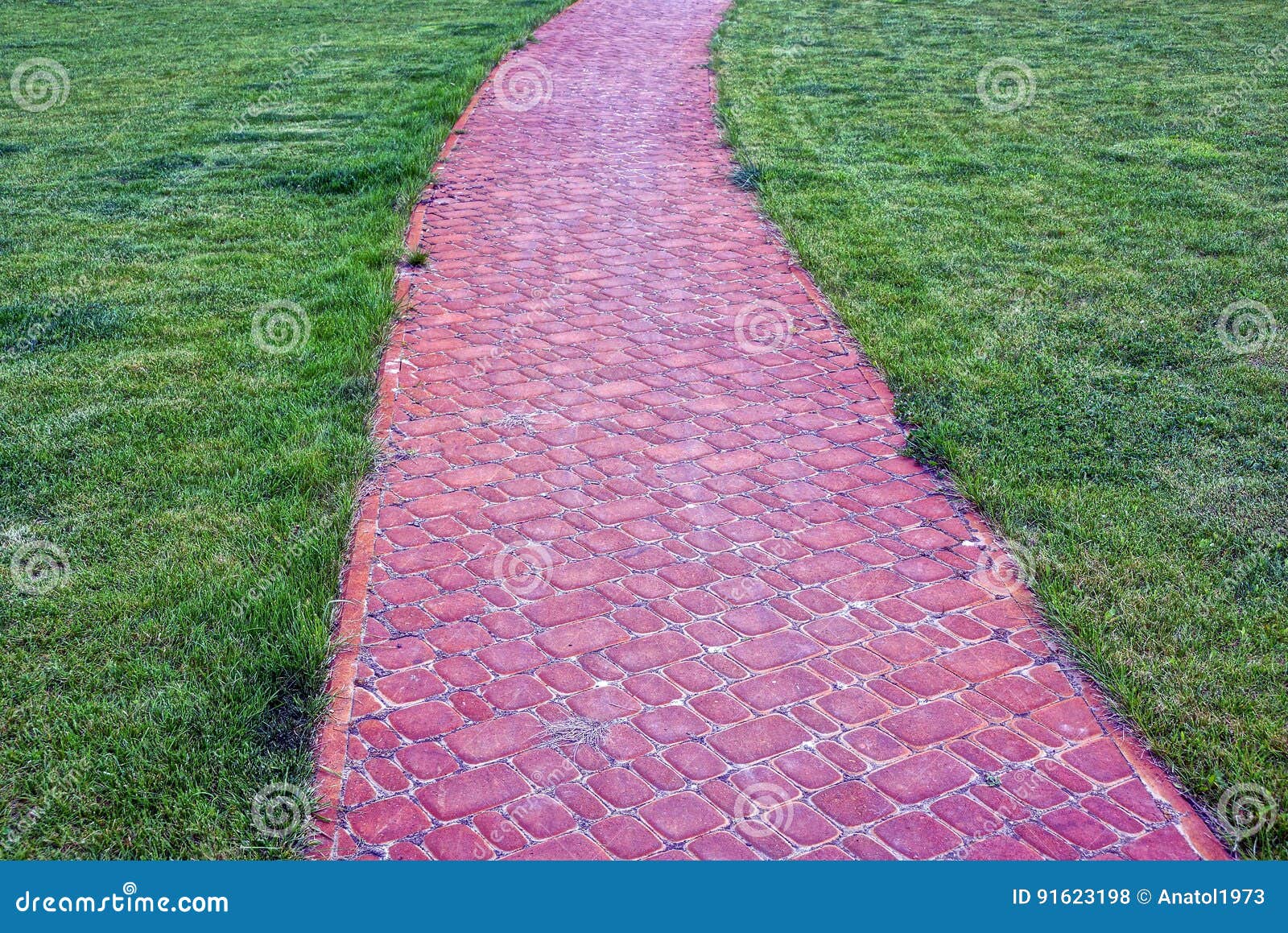Pavement Path Along the Green Lawn Stock Photo - Image of plant ...