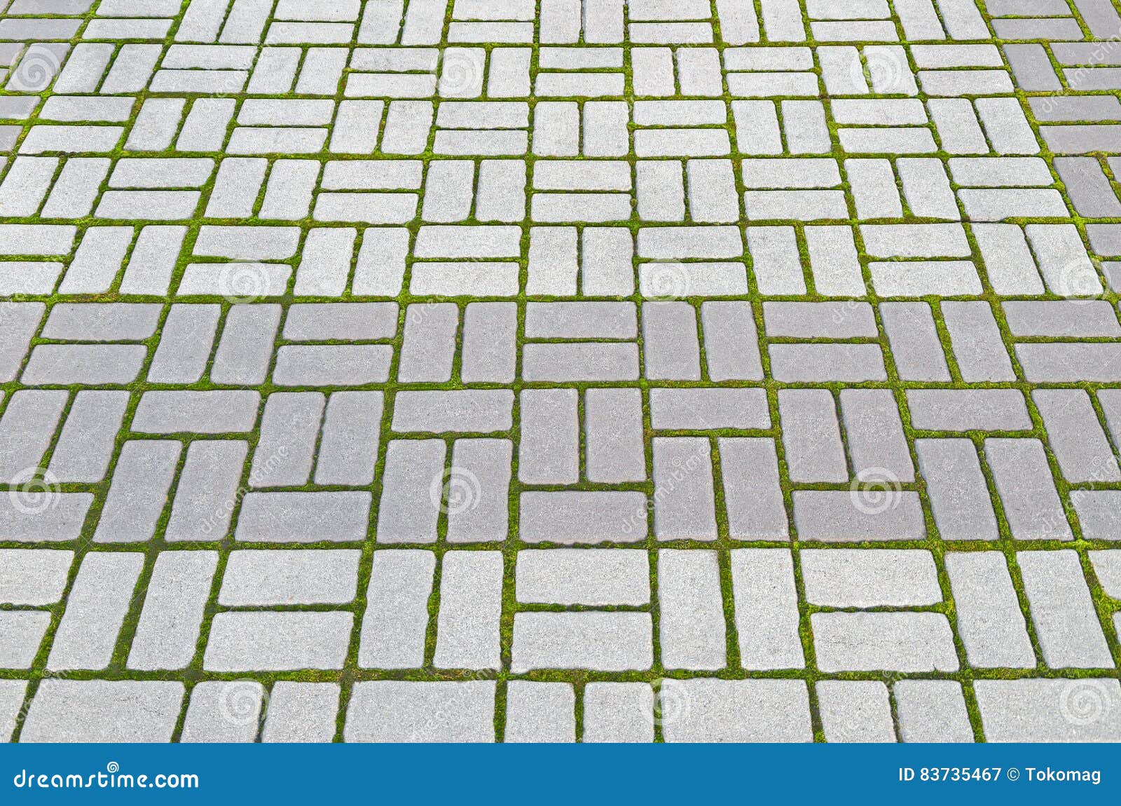 Pavement path stock image. Image of grey, background - 83735467