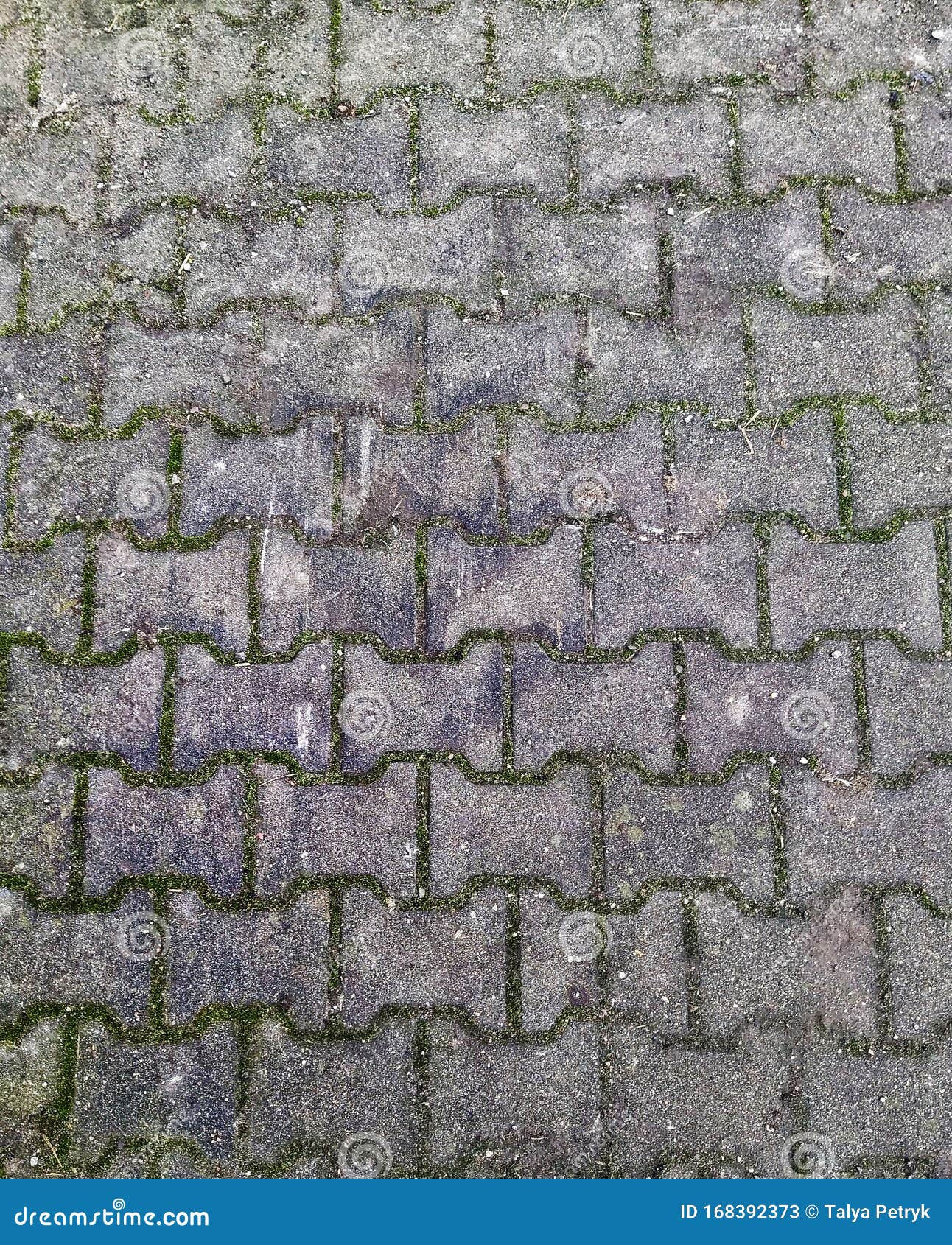 Pavement stock image. Image of decor, nature, pavement - 168392373