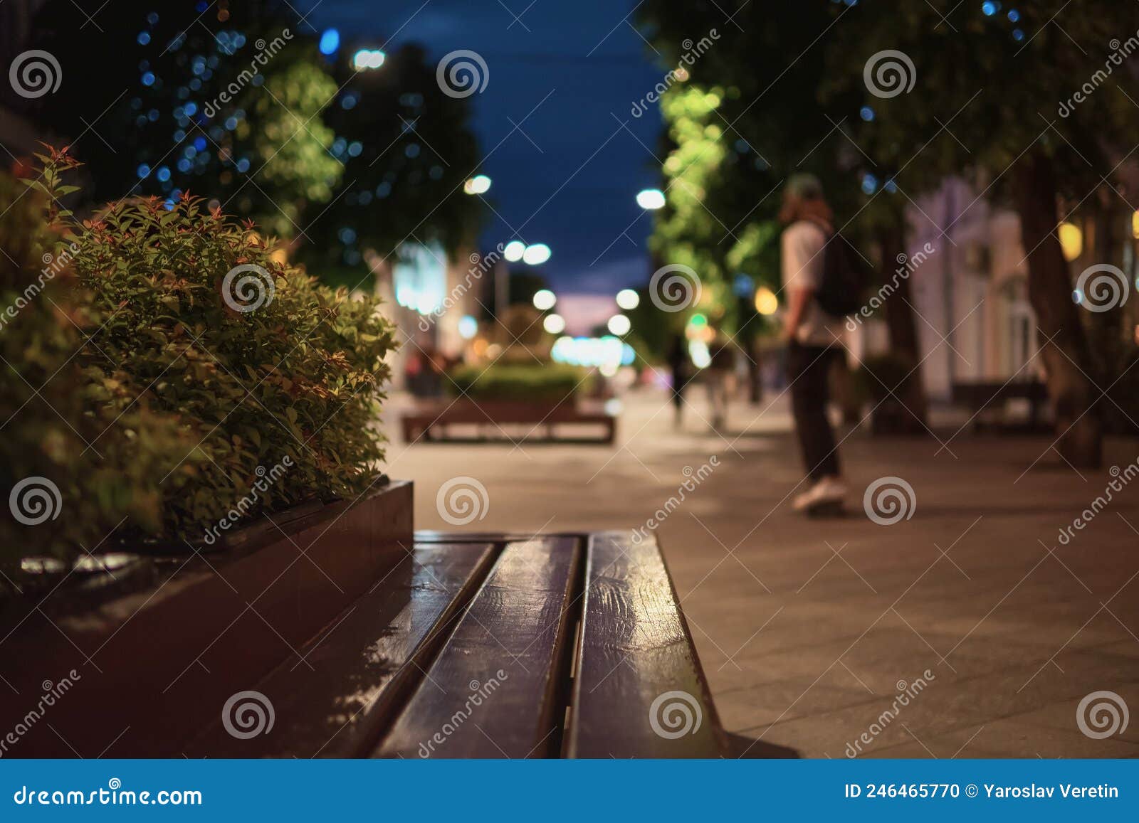 Pavement Pedestrian Walkway in a Night Park Stock Photo - Image of ...