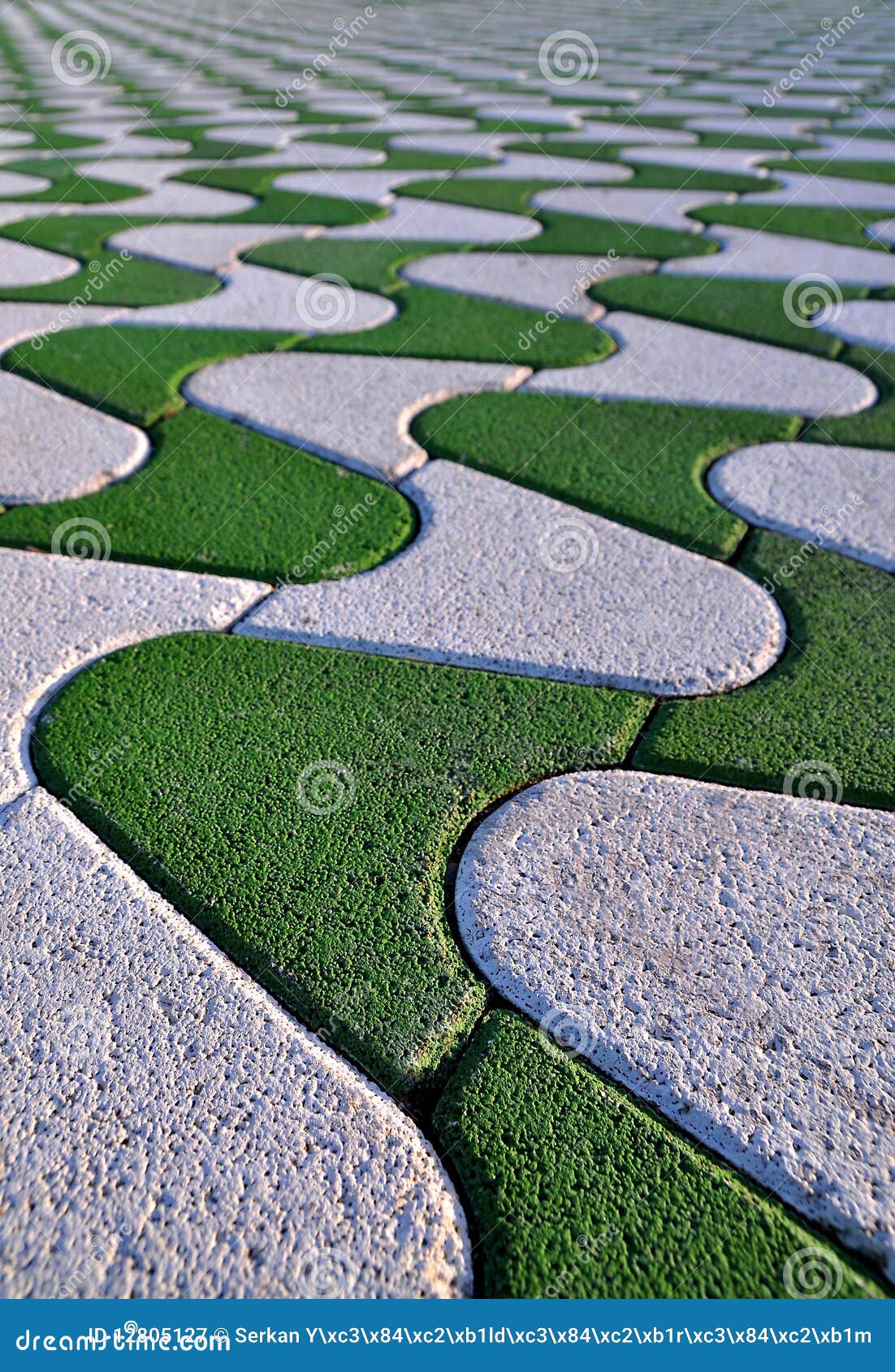 Pavement perspective stock image. Image of avenue, perspective - 12805127