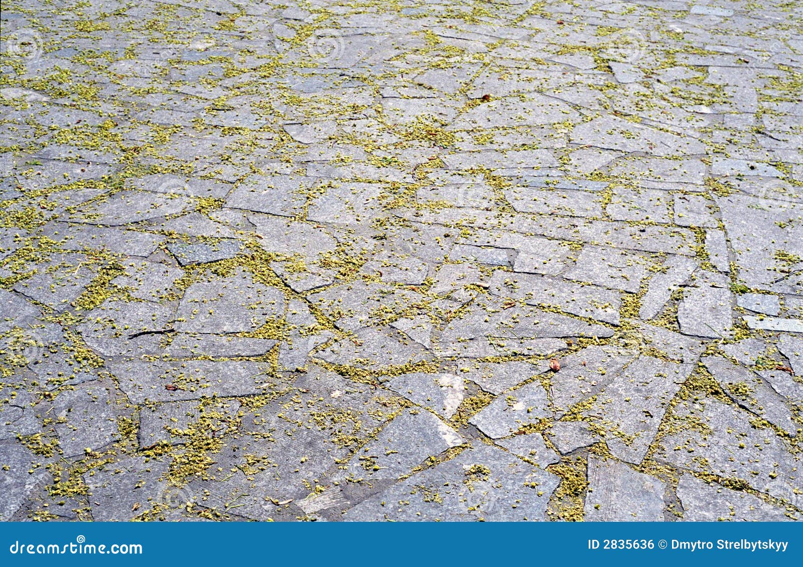 The Pavement Plates Picture. Image: 2835636