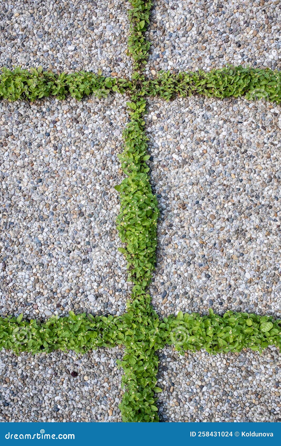 Pavement of Rectangular Stones and Green Grass between Them. Textured ...