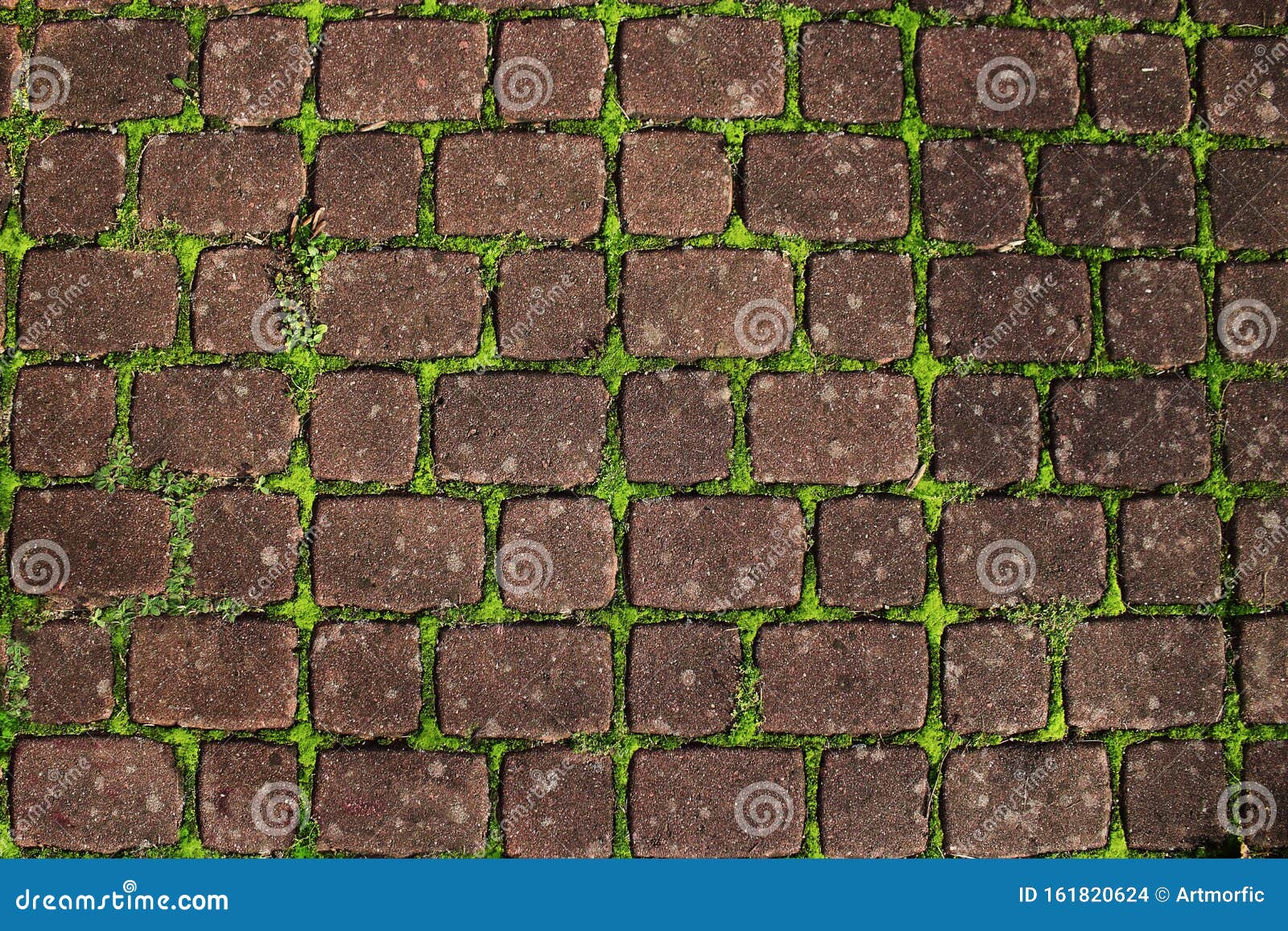 Cobblestone With Grass Texture Stone Path Road Pathway Background Of ...