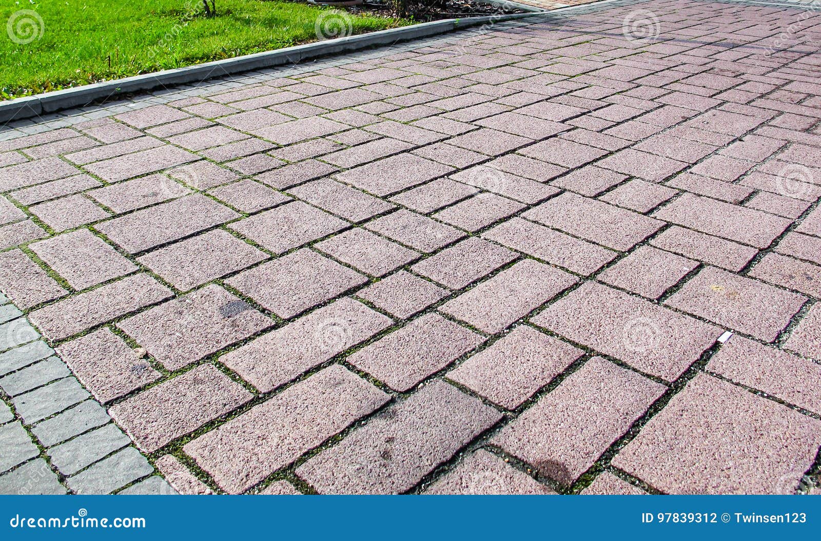 Pavement Road in the Park in Perspective Stock Photo - Image of ...