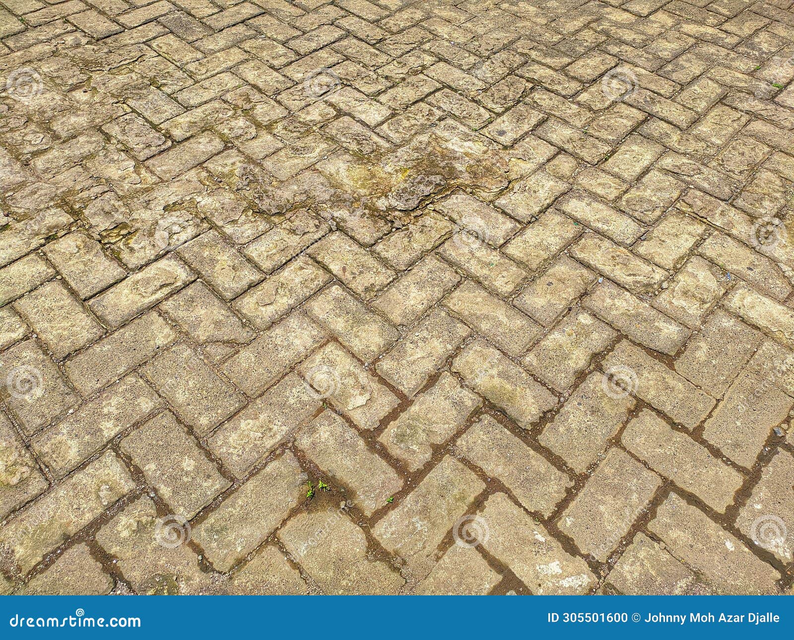 Pavement Road Surface Texture Stock Photo - Image of backdrop, pattern ...
