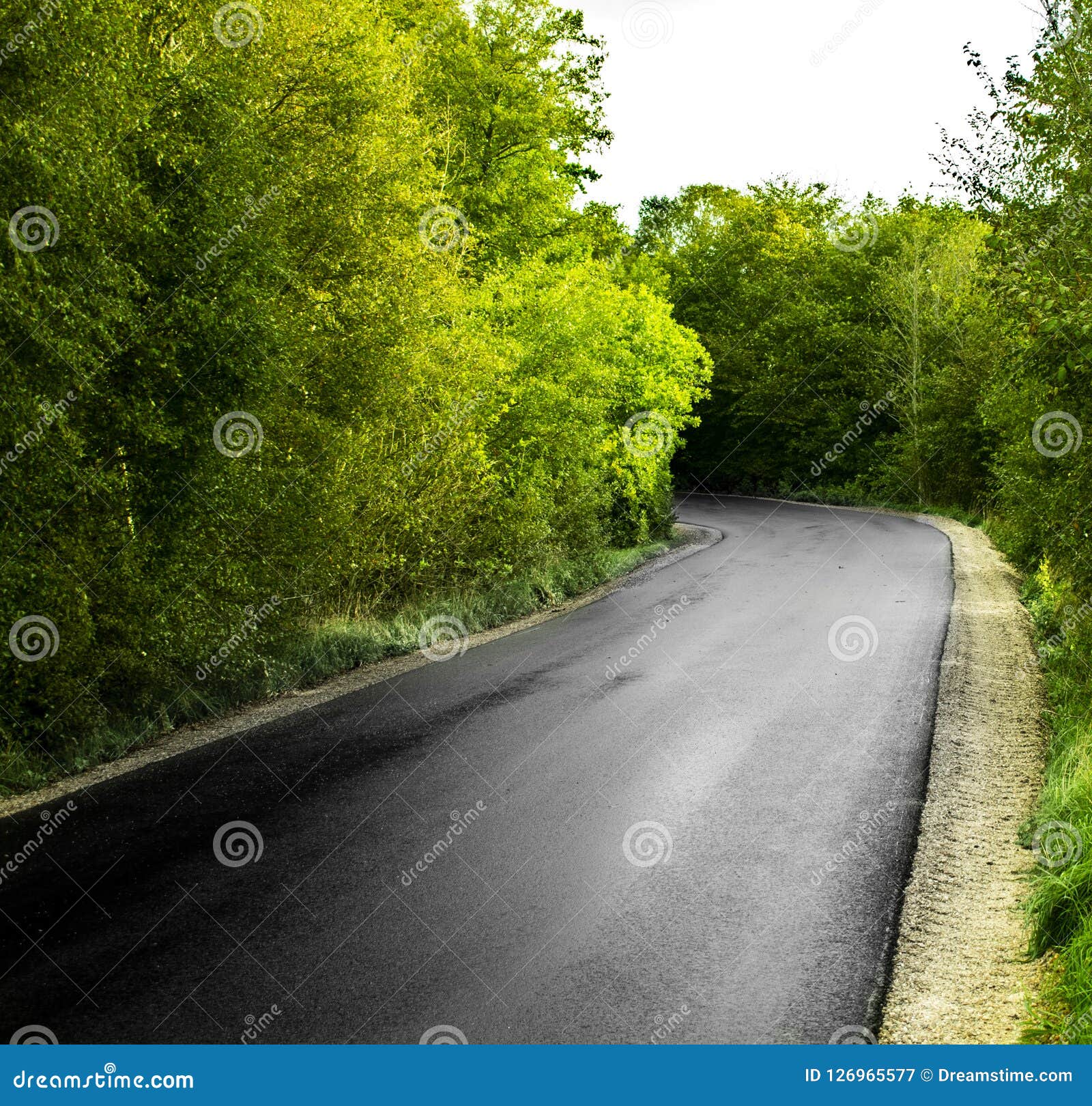 Pavement Road Turning Left. Stock Image - Image of pavement, corner ...