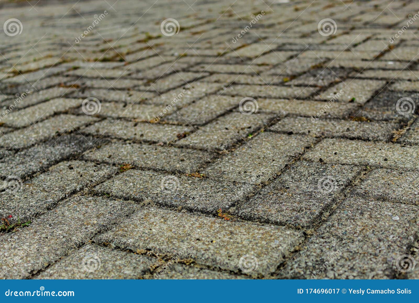 Pavement. Rough bricks stock image. Image of floor, road - 174696017