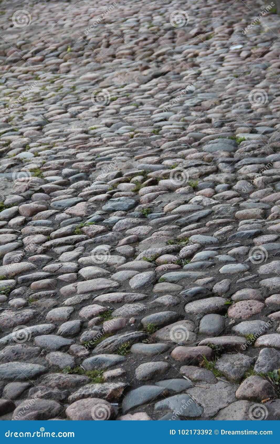 Pavement stock photo. Image of cobbles, paving, ennobling - 102173392