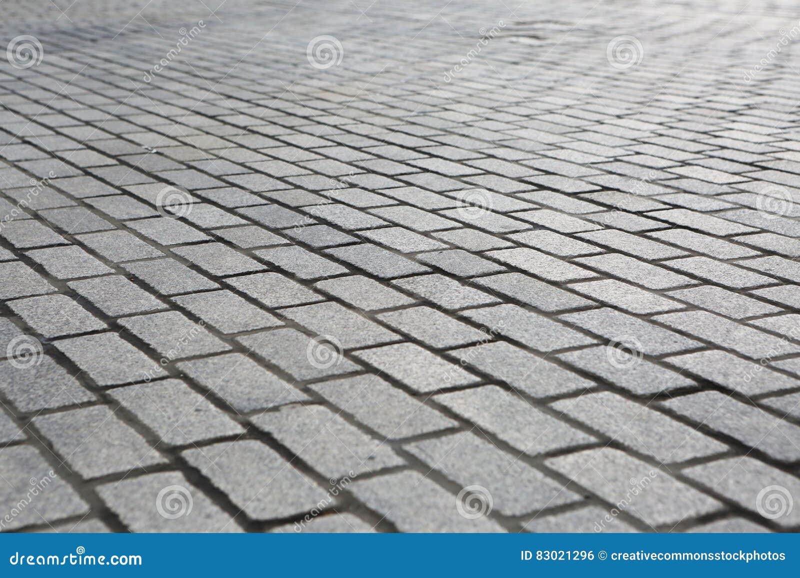 Pavement Stones Picture. Image: 83021296