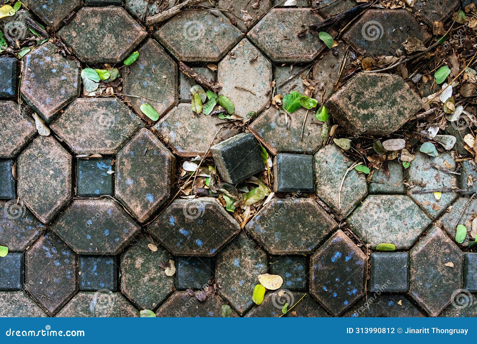 Pavement Surface is Damaged and Dangerous. Broken Brick Blocks Can Pose ...