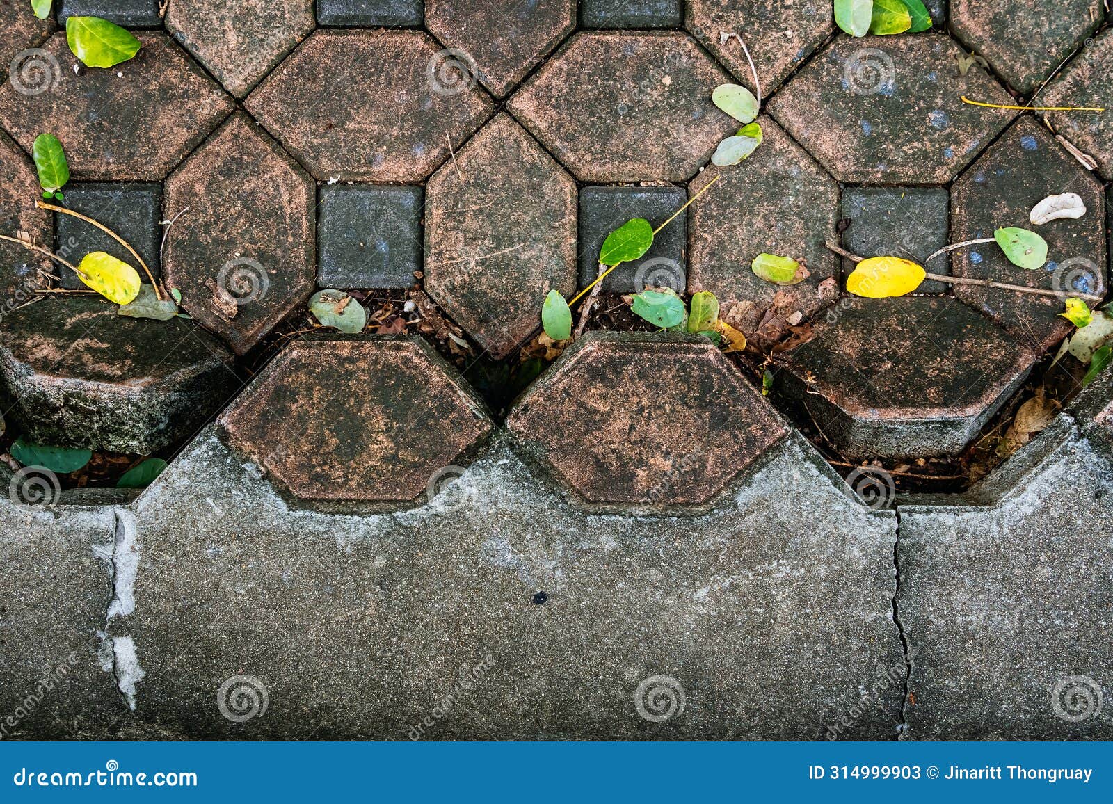 Pavement Surface is Damaged and Dangerous. Broken Brick Blocks Can Pose ...