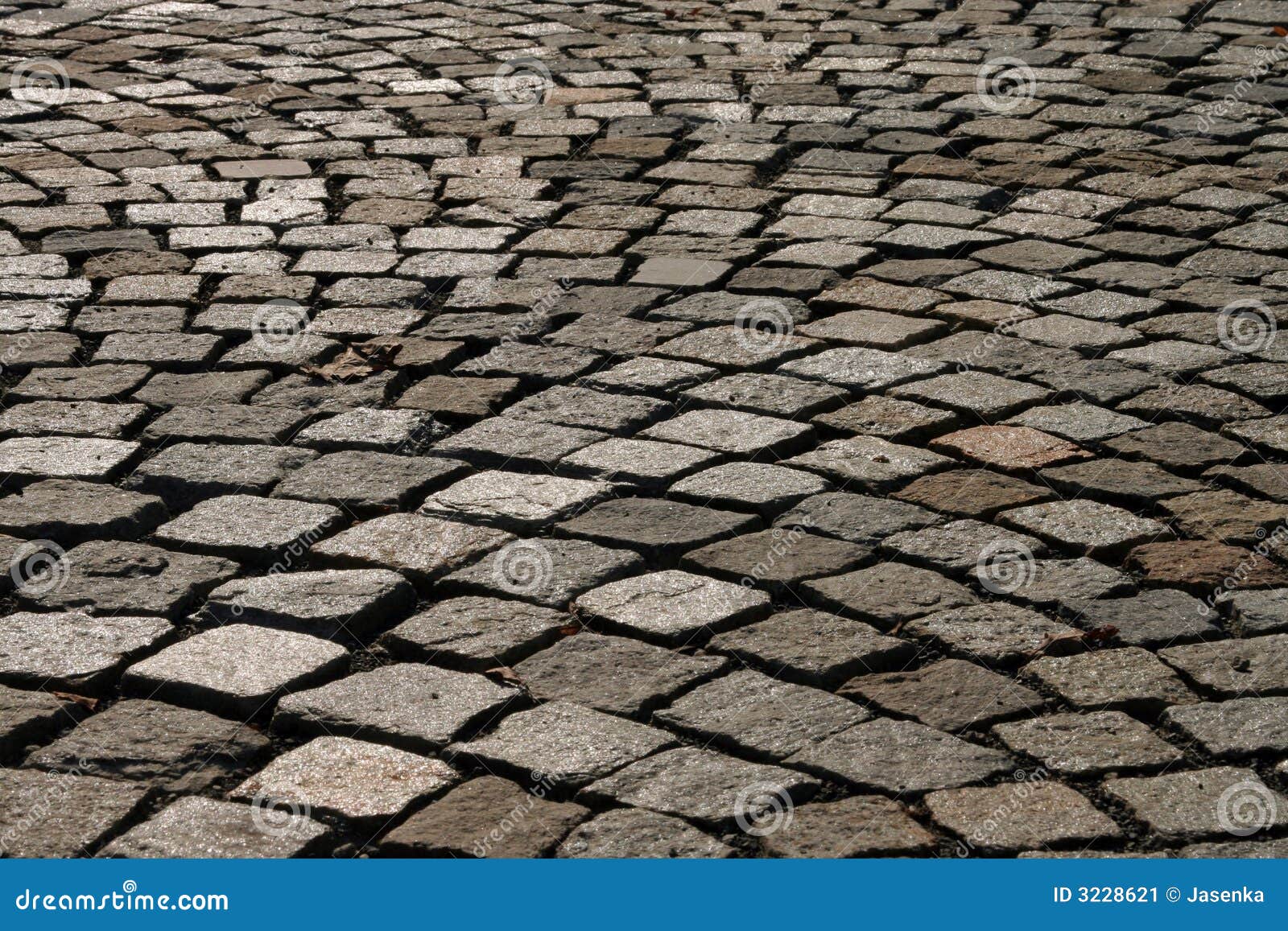 Pavement Texture Royalty-Free Stock Photo | CartoonDealer.com #3228621