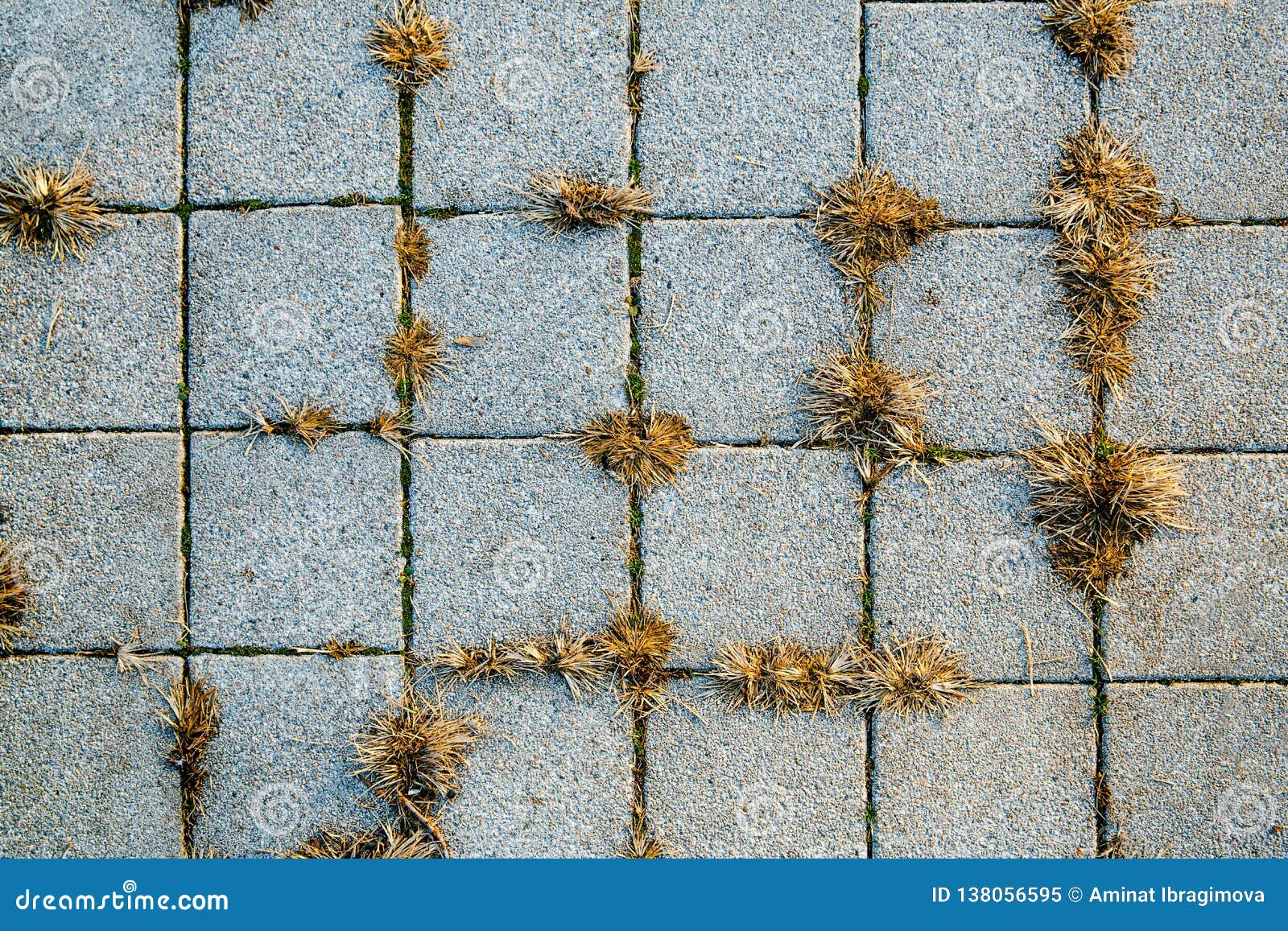 Pavement Texture. Grey. Tile. Background. Square. Pattern Stock Image ...