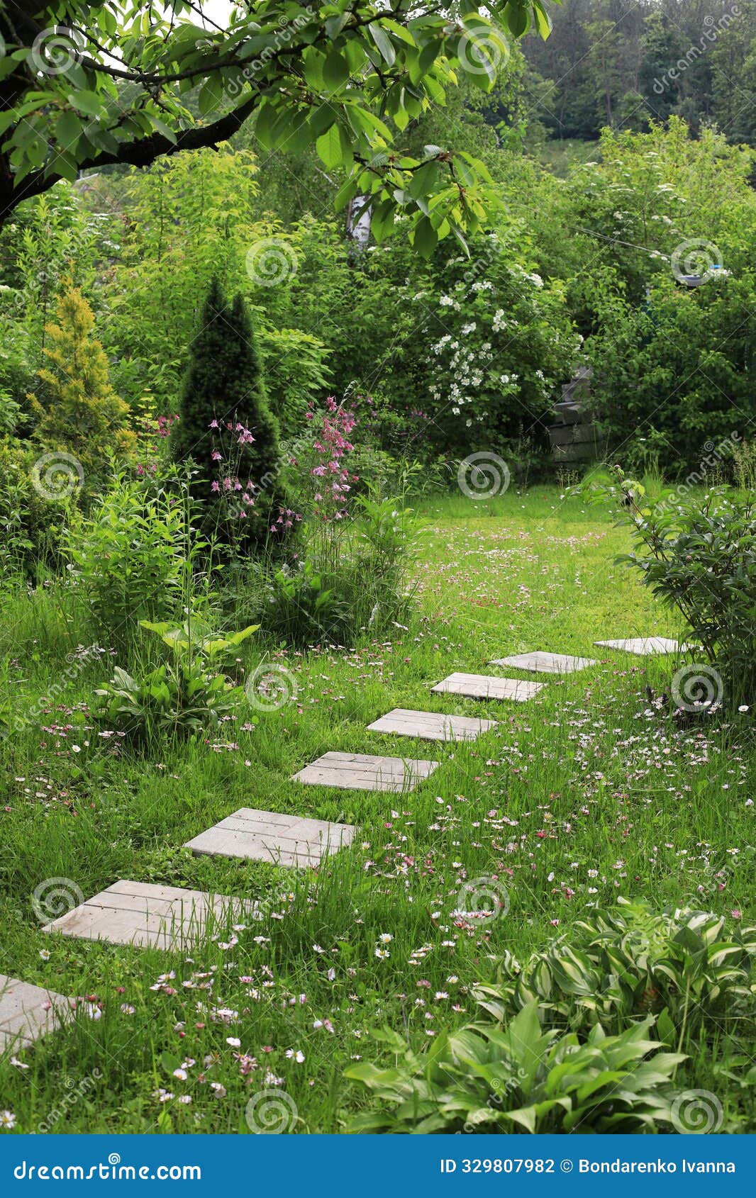 Pavement Tile Path Made of Concrete in Beautiful Garden Stock Photo ...