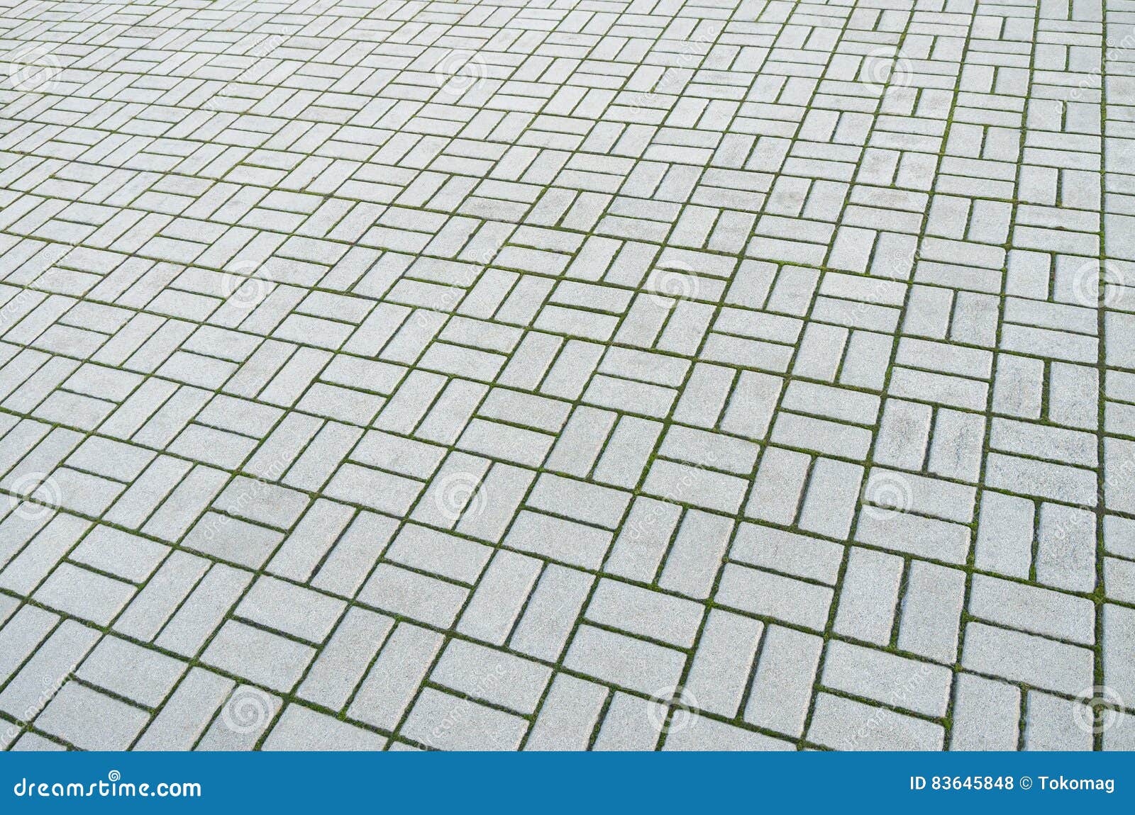 Pavement tile stock photo. Image of pavement, pattern - 83645848
