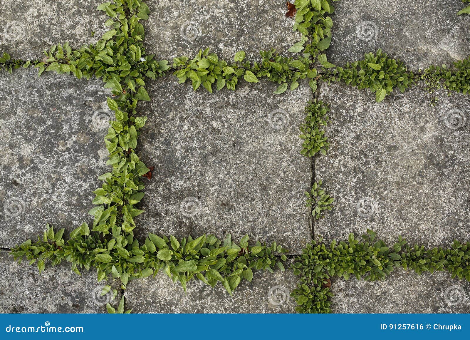 Pavement Tiles and Green Grass Stock Photo - Image of border, decor ...