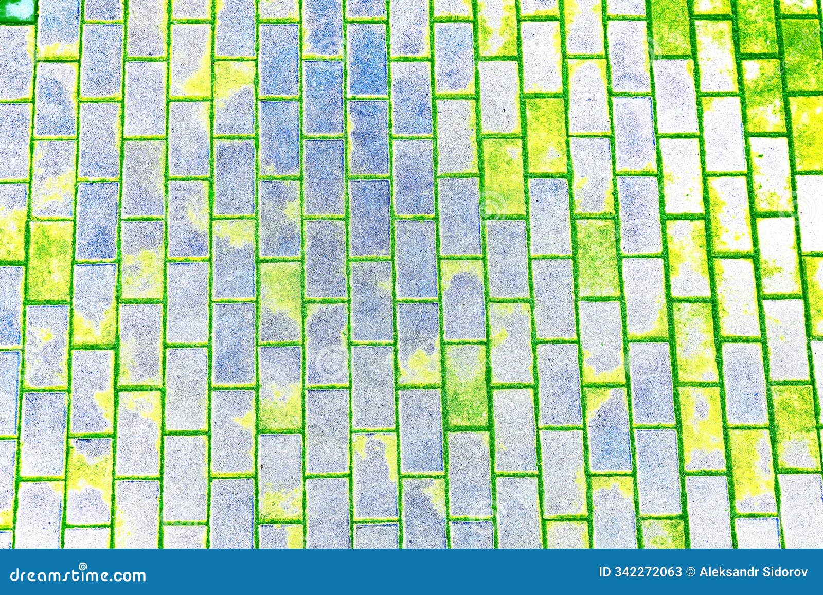 Pavement Tiles Laid, Pedestrian Path in the Park, Changed Color Scheme ...