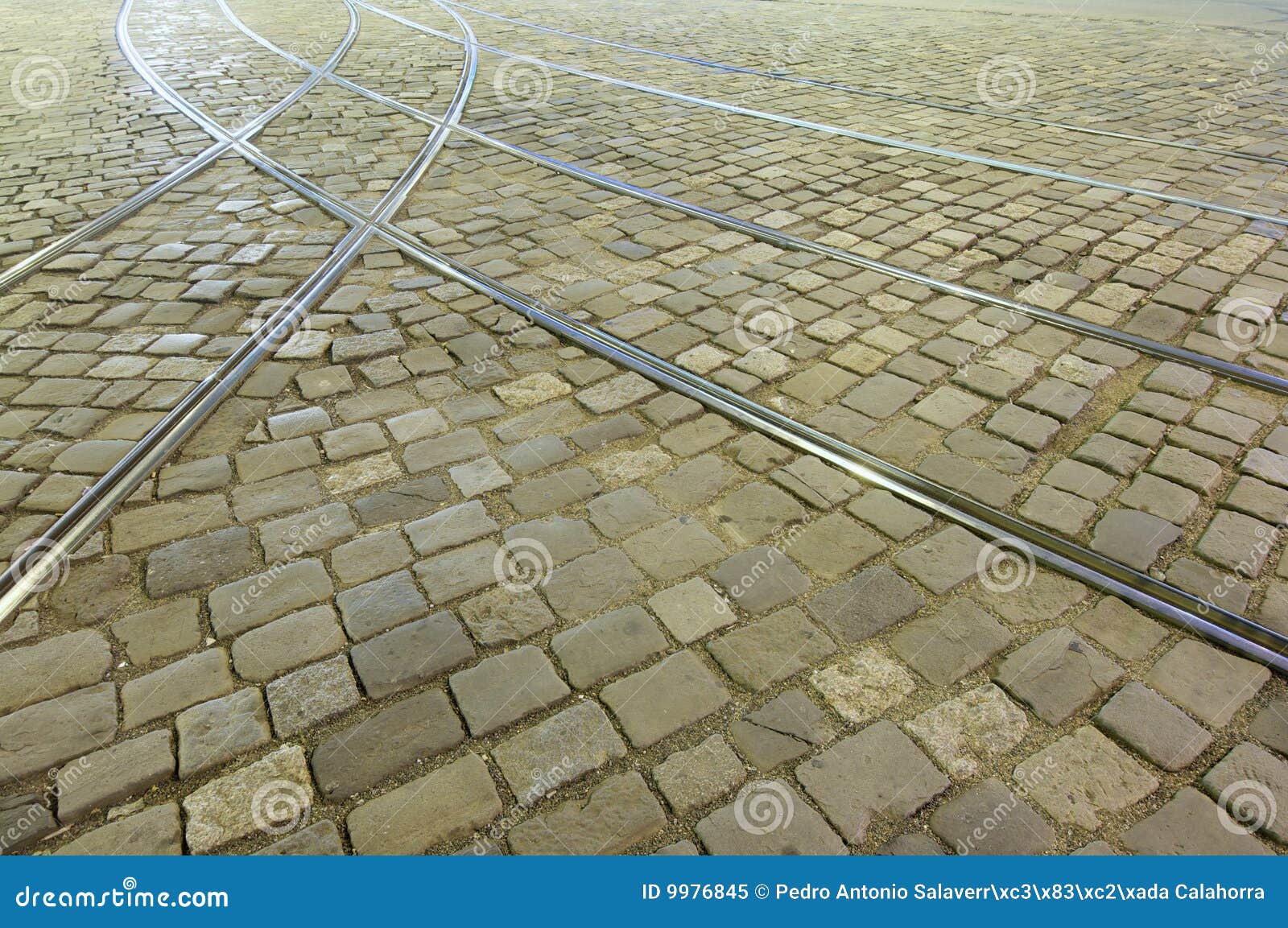 Pavement with Trackage stock image. Image of block, electric - 9976845