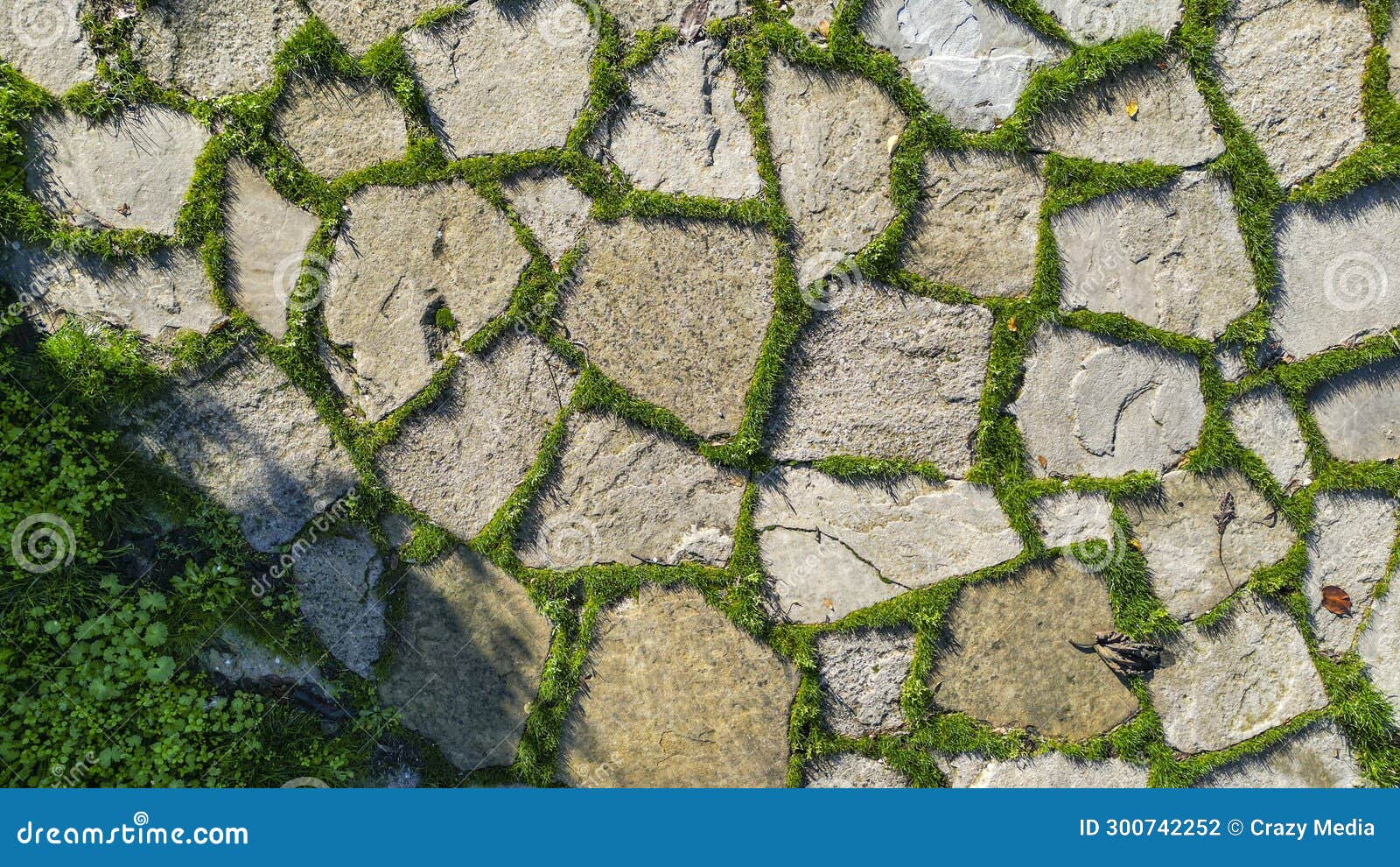 Pavement, Walking Path and Lawns Paved with Large Stones Stock Photo ...