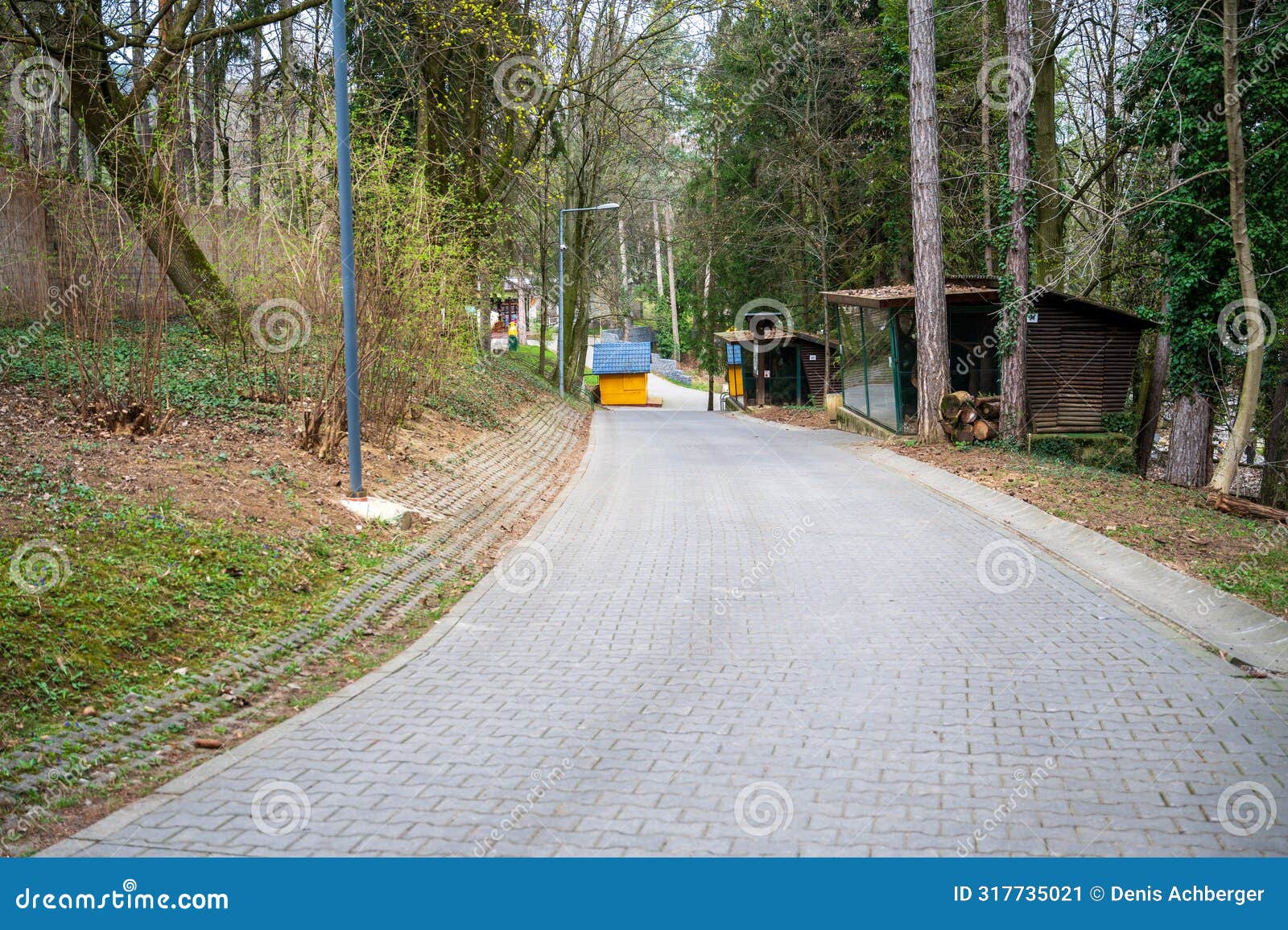 Pavement Walkway in Park with Trees Stock Image - Image of trees ...