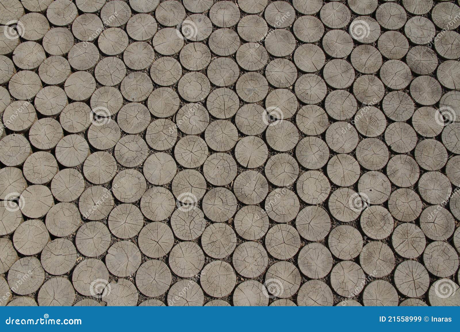 Pavement of Wood Blocks stock image. Image of natural - 21558999