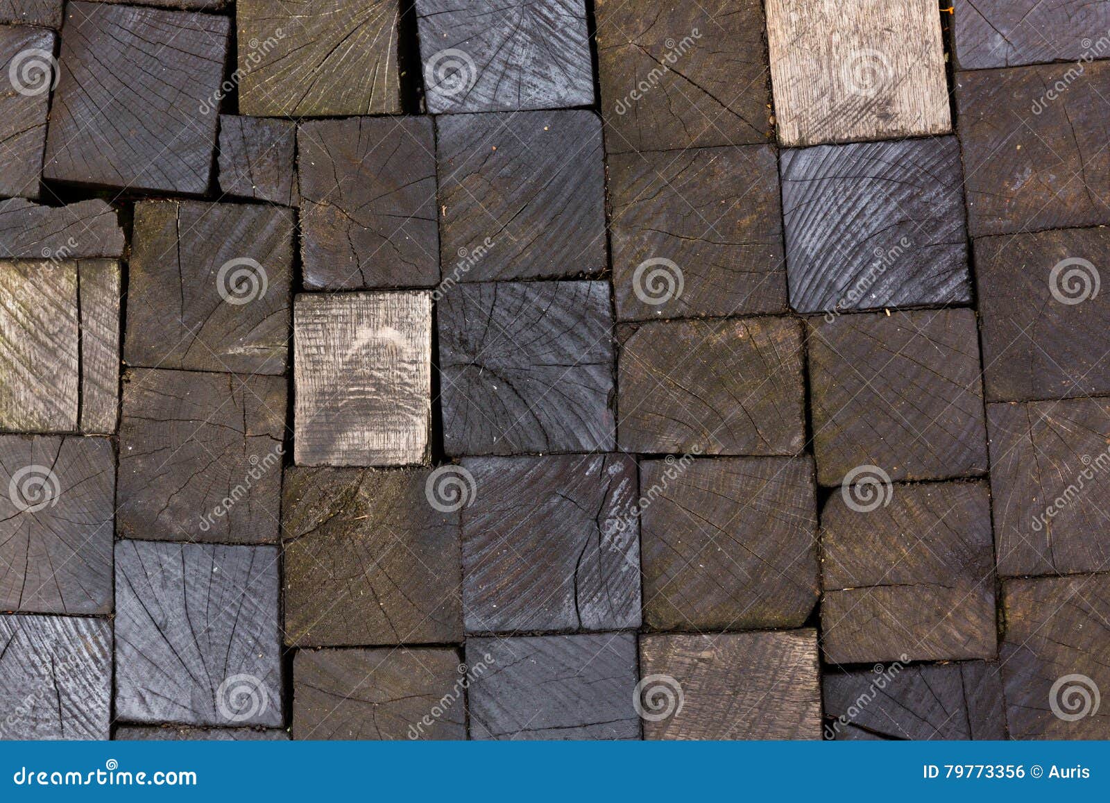 Pavement wooden texture stock photo. Image of plank, woods - 79773356