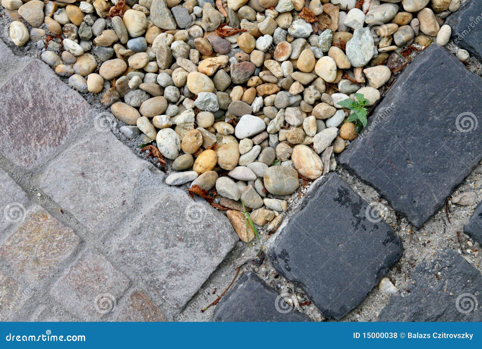 Pavements stock photo. Image of texture, grey, brown - 15000038