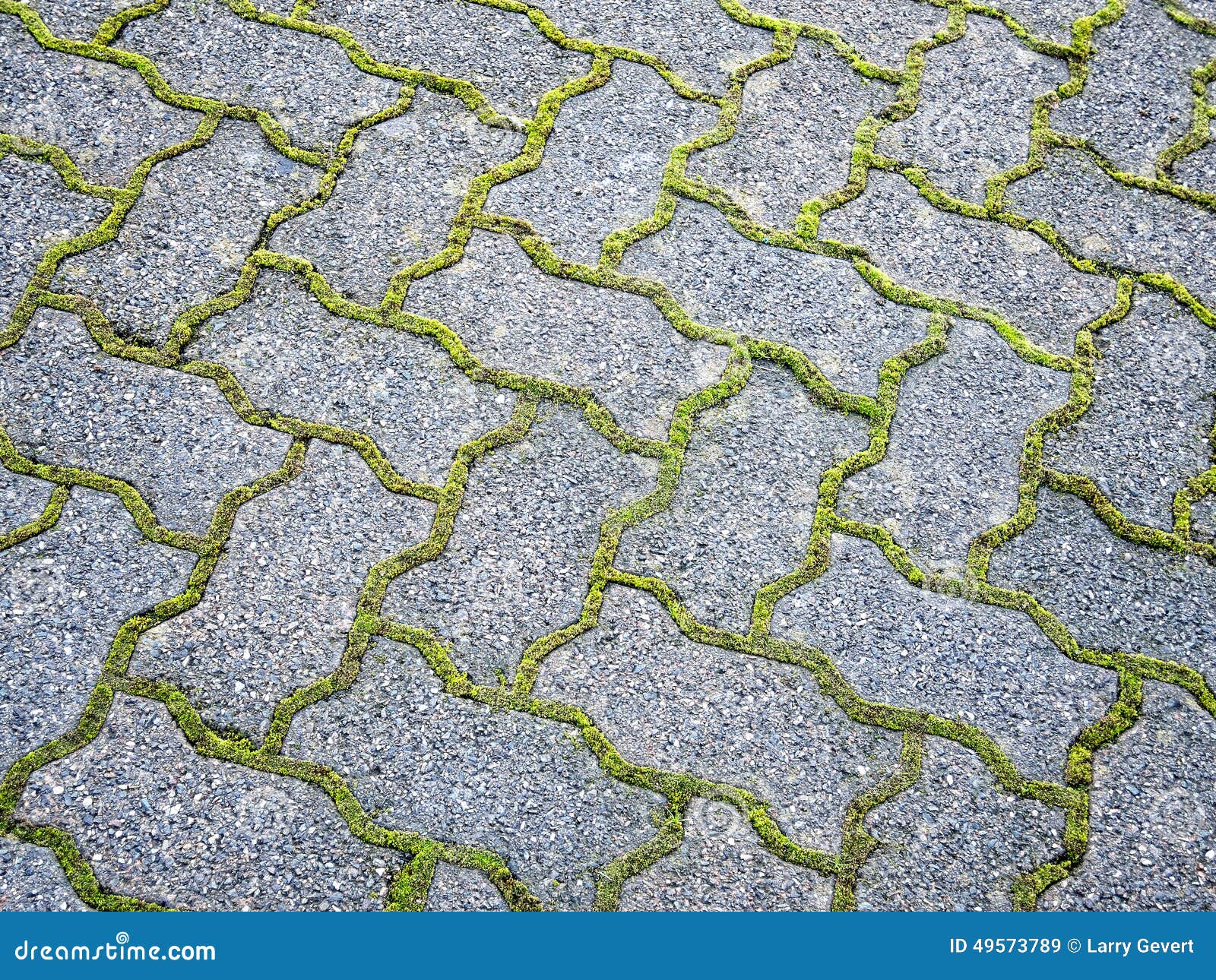 Paver pattern stock image. Image of bizarre, floor, blocks - 49573789