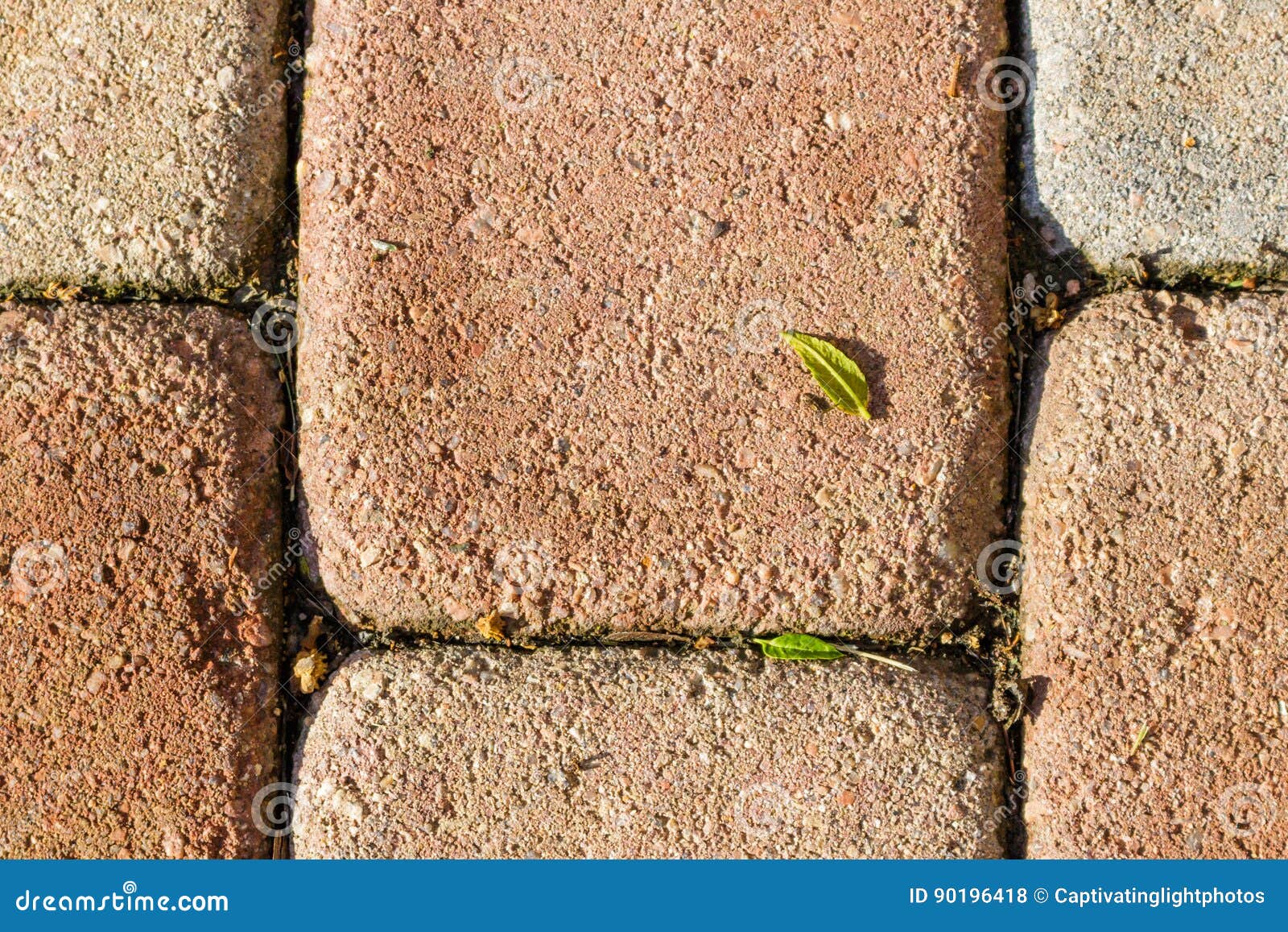 Paver walkway pattern stock photo. Image of spring, sunshine - 90196418