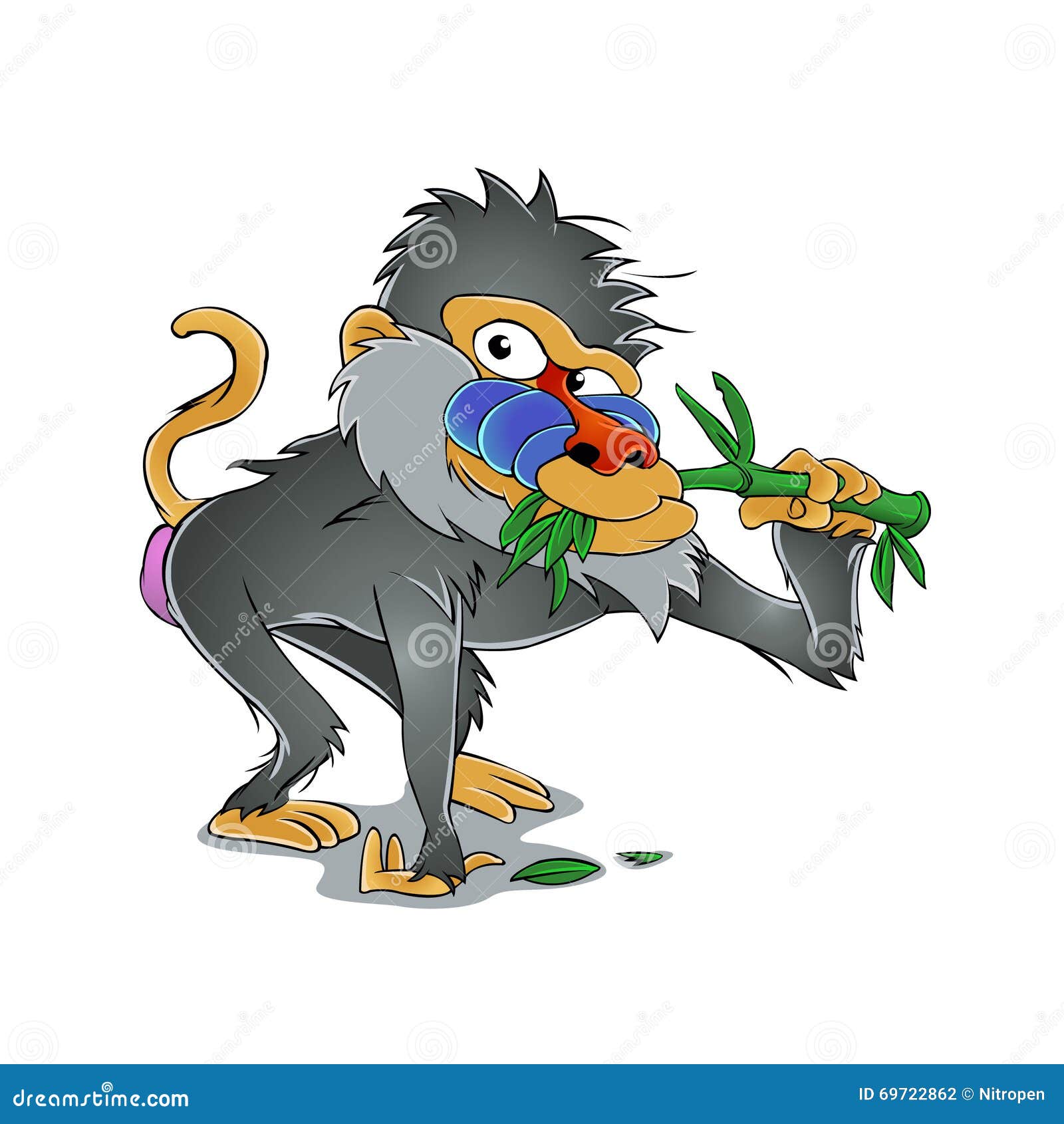 Pavian, der Bambus isst vektor abbildung. Illustration von lustig ...