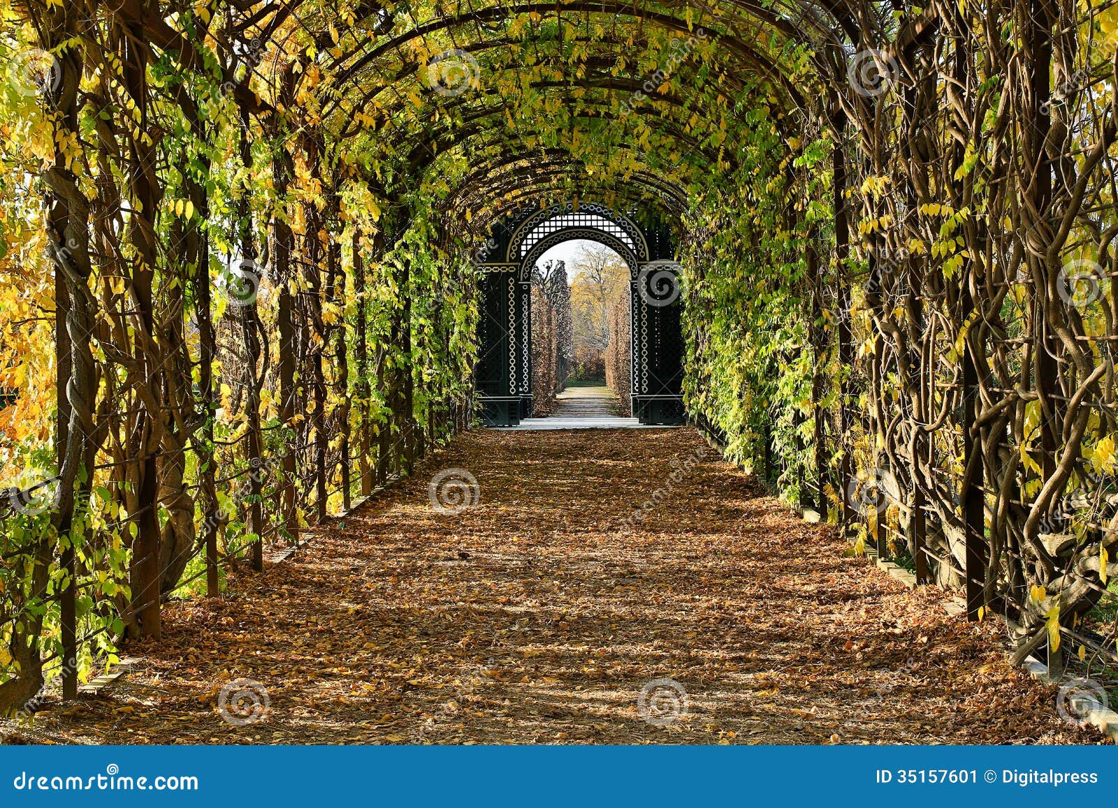 Pavilion stock image. Image of architecture, outdoors - 35157601