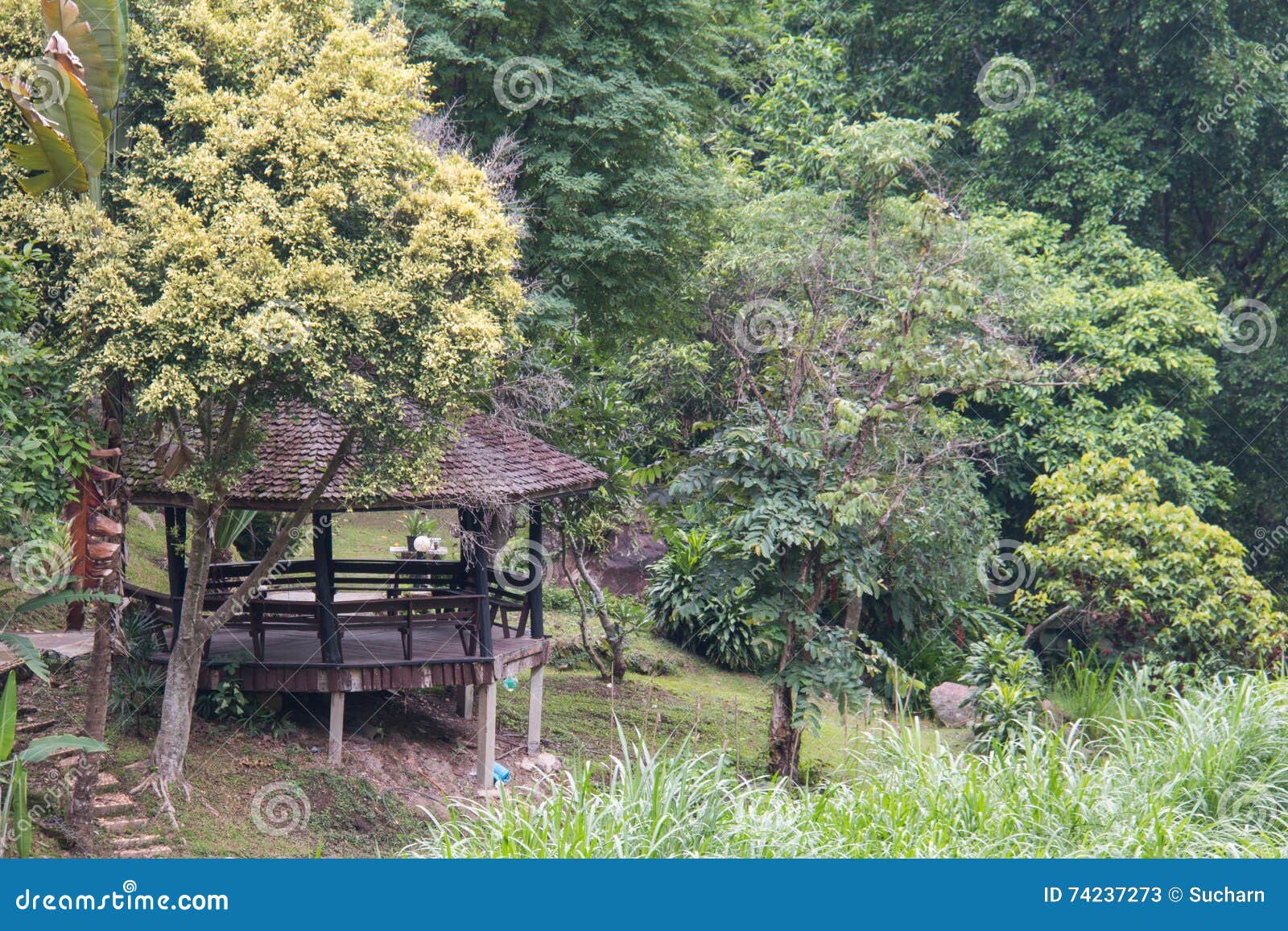 Pavilion in forest. stock image. Image of mountain, nature - 74237273