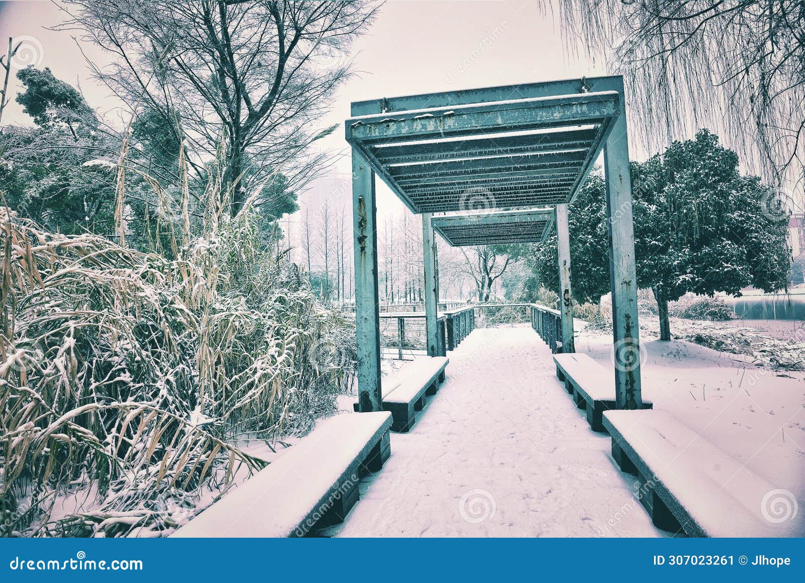 Pavillon and path stock image. Image of nature, seasonal - 307023261