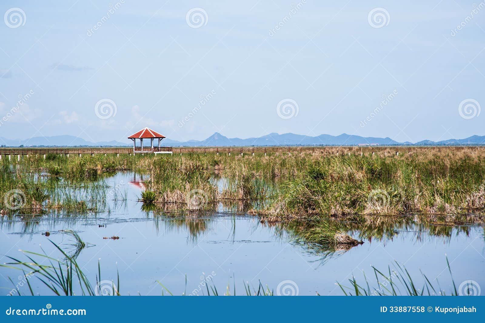 Pavilion in swamp stock photo. Image of pavilion, porch - 33887558