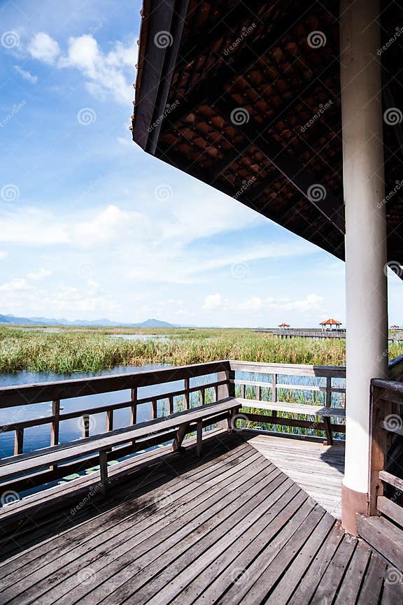 Pavilion in swamp stock image. Image of porch, green - 33888553