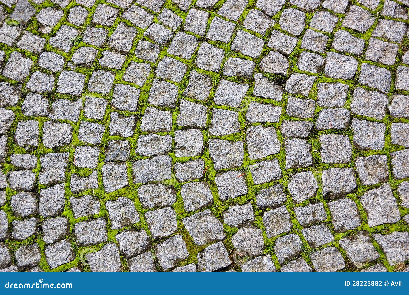 Pavimento Do Cobblestone Overgrown Com Musgo Foto de Stock - Imagem de ...