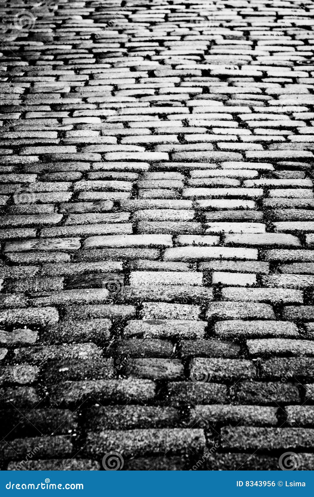 Paving stock photo. Image of background, granite, cobble - 8343956