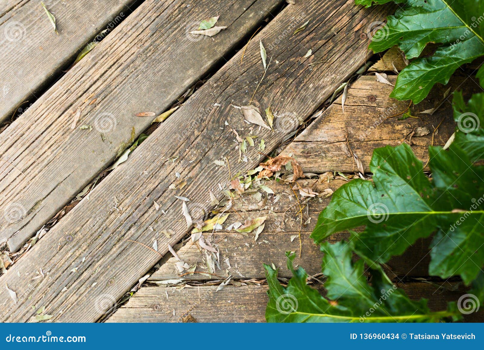 Paving Background with Board with Leaves Stock Photo - Image of design ...
