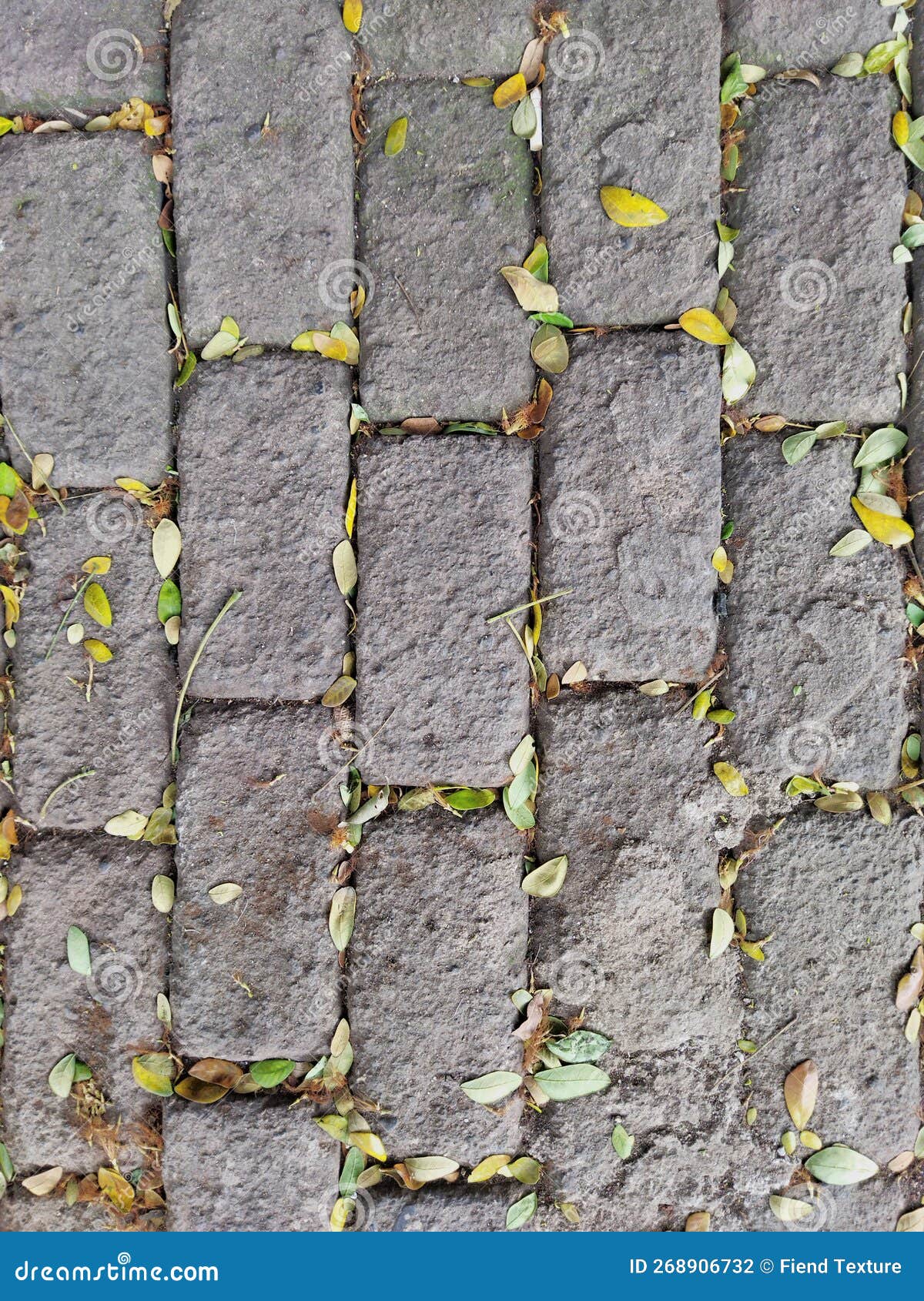 Paving Block, Conblock, Cobblestone, Fall, Falling Leaves, Park Floor ...
